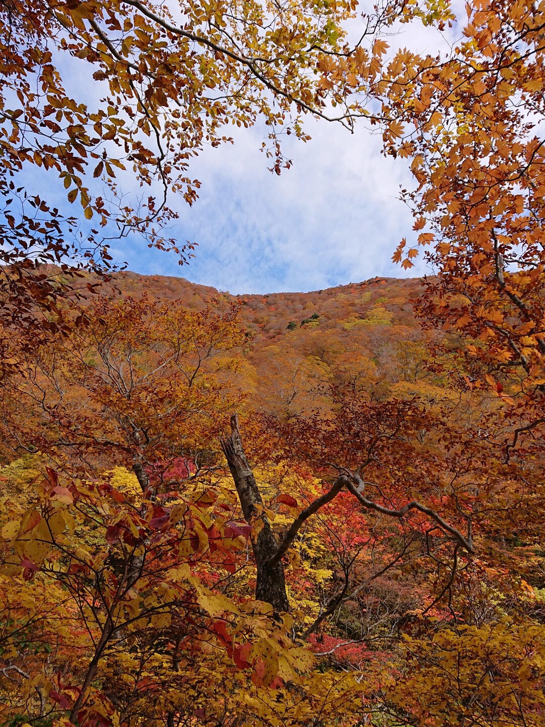 水引入道・南屏風岳・不忘山(御前岳) / TWOさんの蔵王山・雁戸山・不忘山の活動データ | YAMAP / ヤマップ