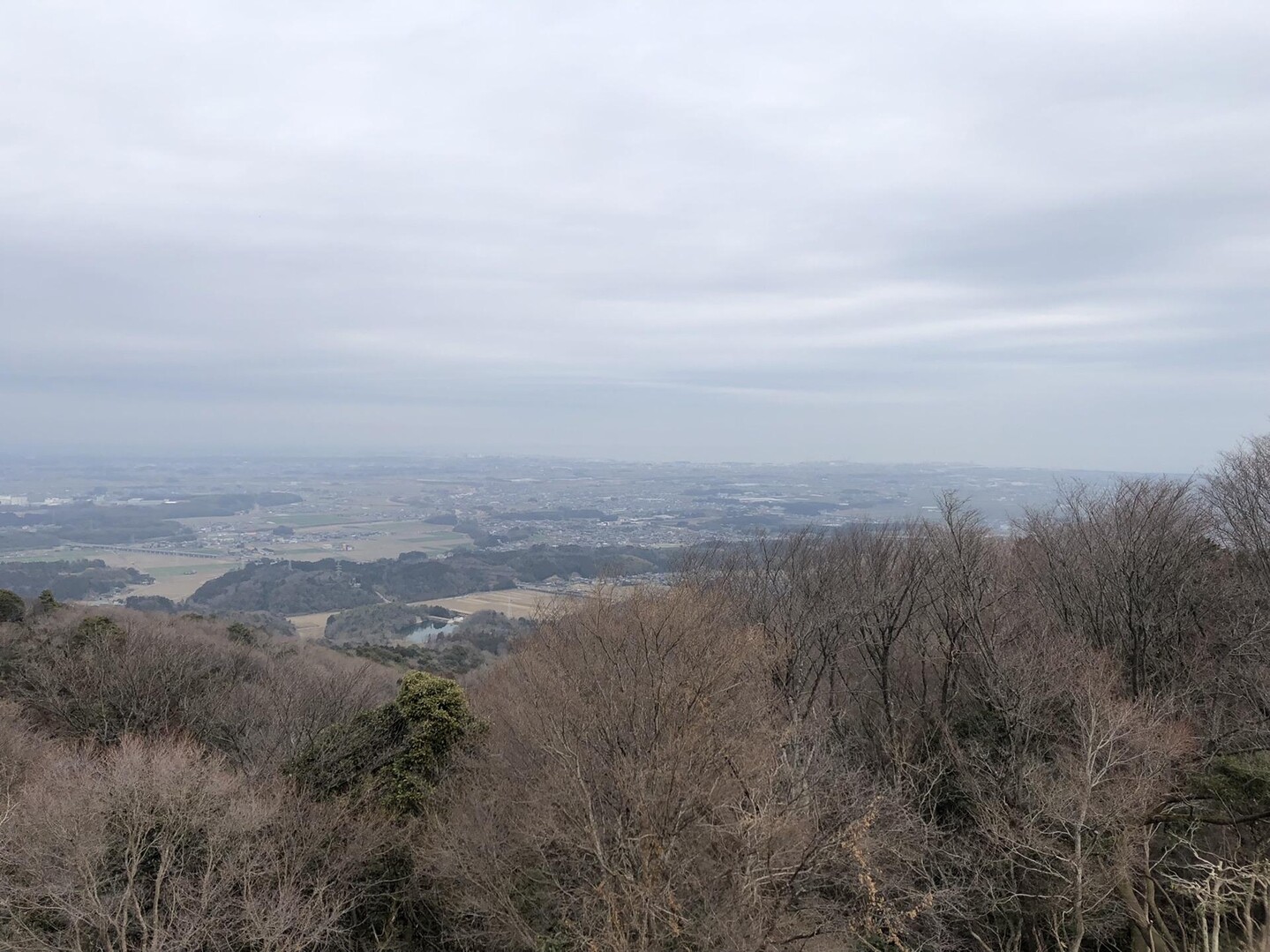 桝形山 / pixyさんの堀坂山・観音岳・桝形山（白米城）の活動データ | YAMAP / ヤマップ