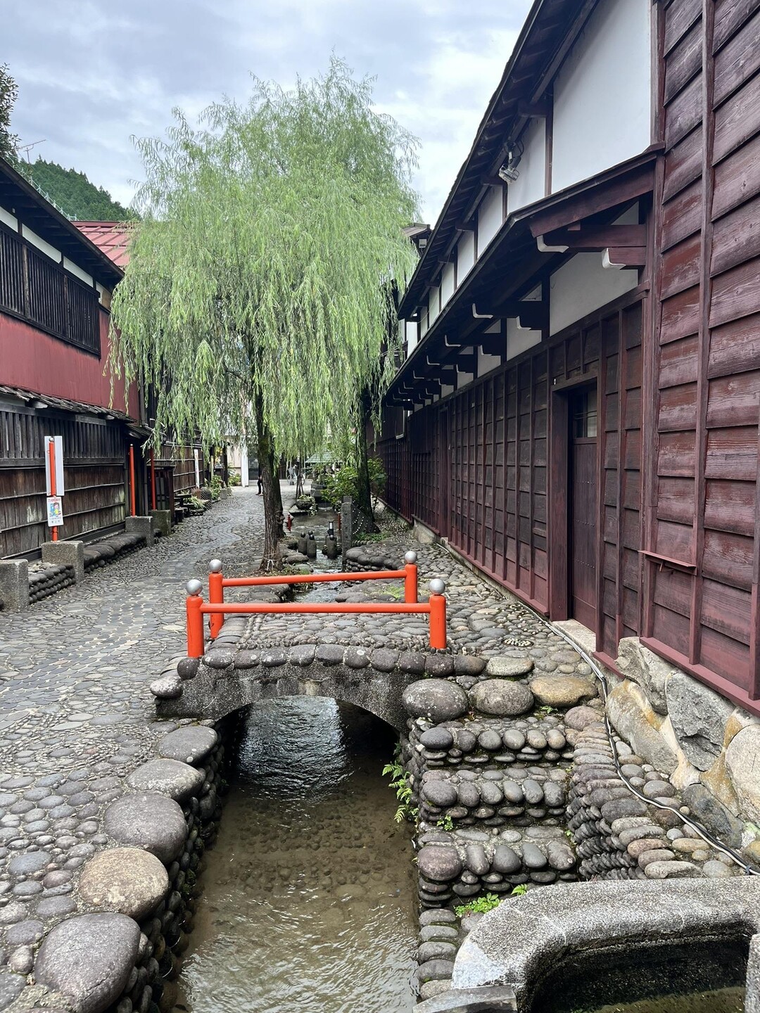 台風来なかったし、なんとなくふらっと郡上... / junnnnさんのモーメント | YAMAP / ヤマップ