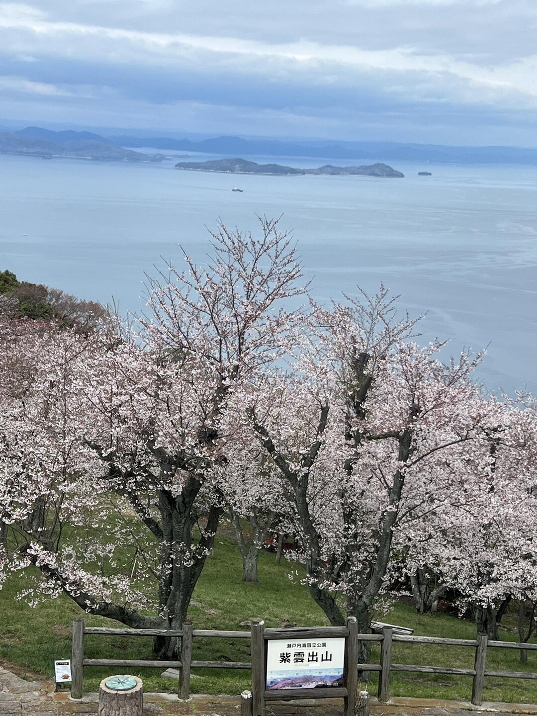 お花見紫雲出山🌸 / ariさんの荘内半島（三崎半島）・粟島の活動データ | YAMAP / ヤマップ