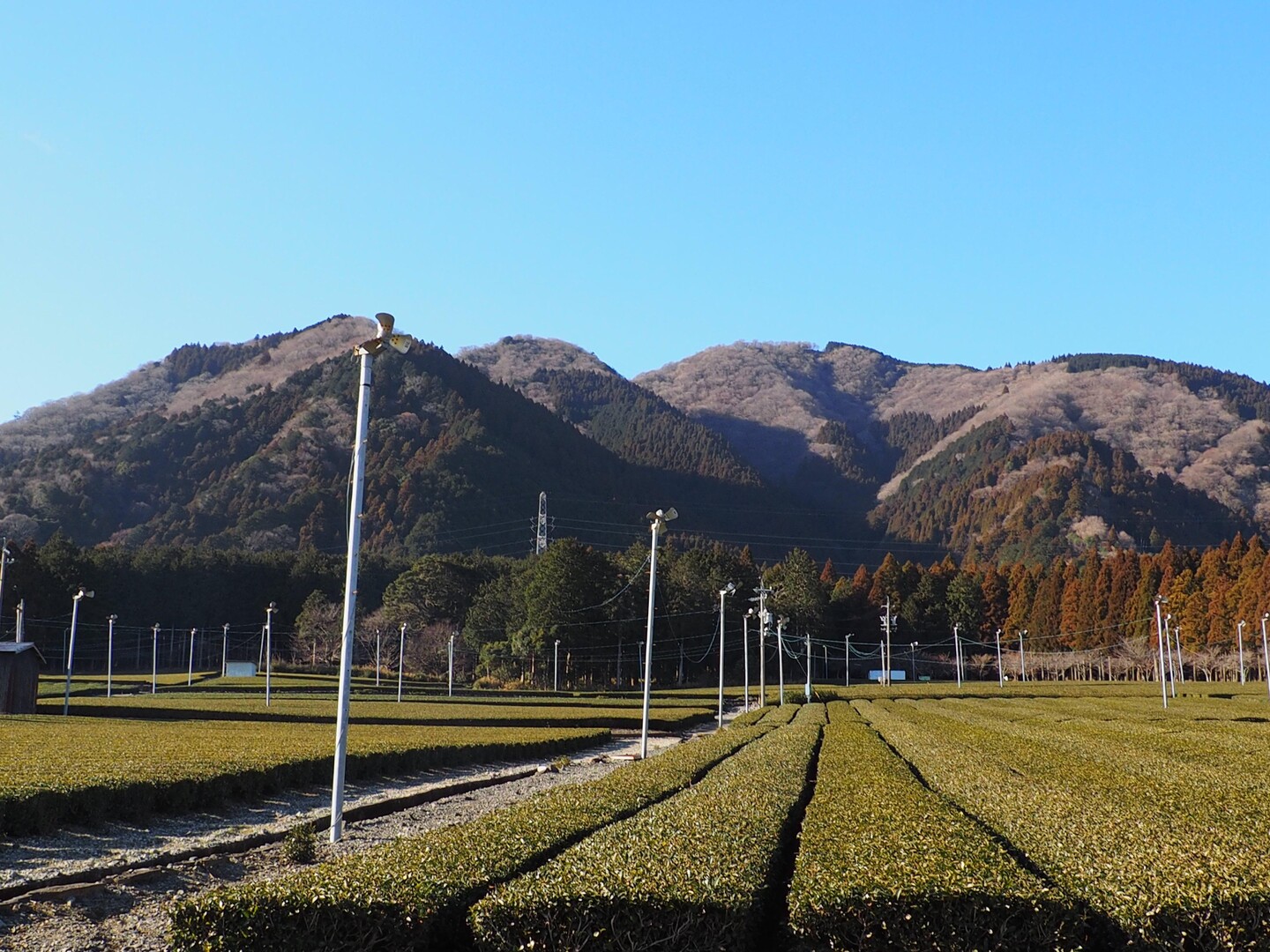 雲母峰Ⅱ峰・雲母峰・雲母西峰 / sensaさんの入道ヶ岳・鎌ヶ岳・仙ヶ岳の活動データ | YAMAP / ヤマップ
