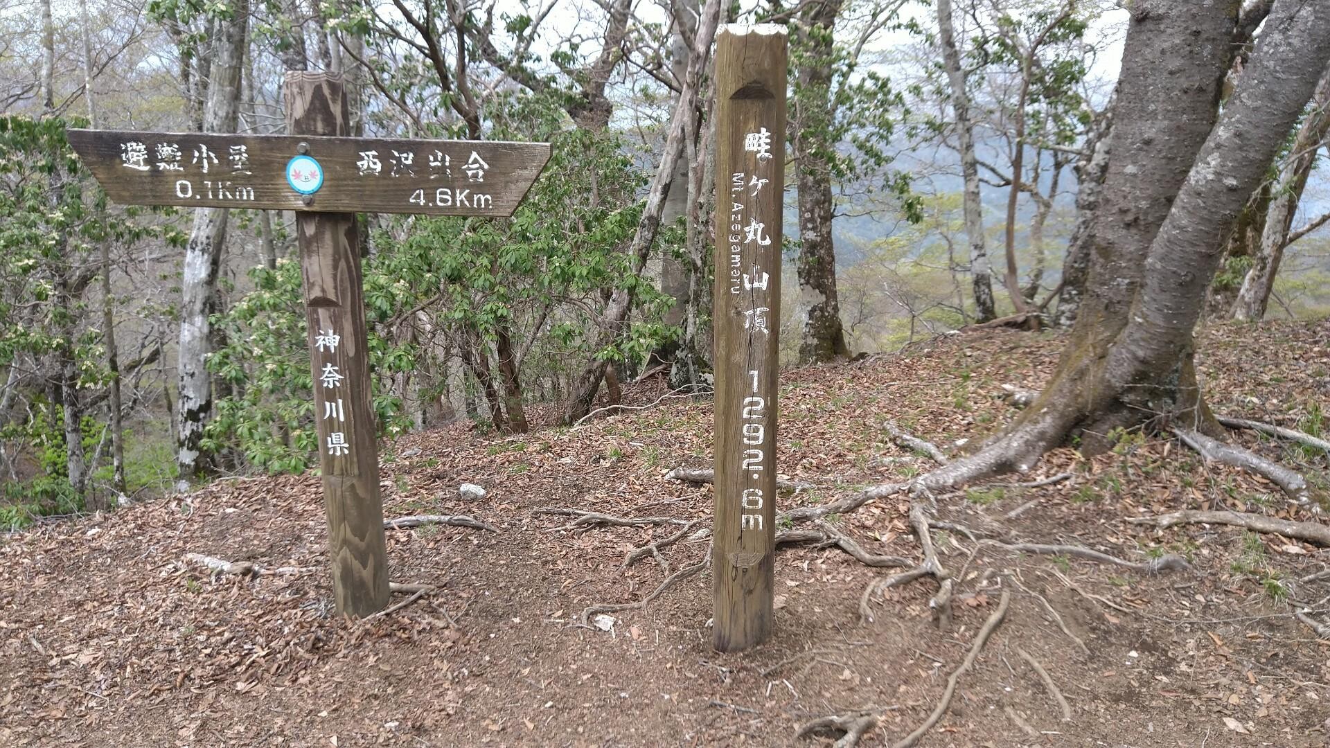 西丹沢VCから畦ヶ丸 / kanakanaさんの丹沢山の活動データ | YAMAP / ヤマップ