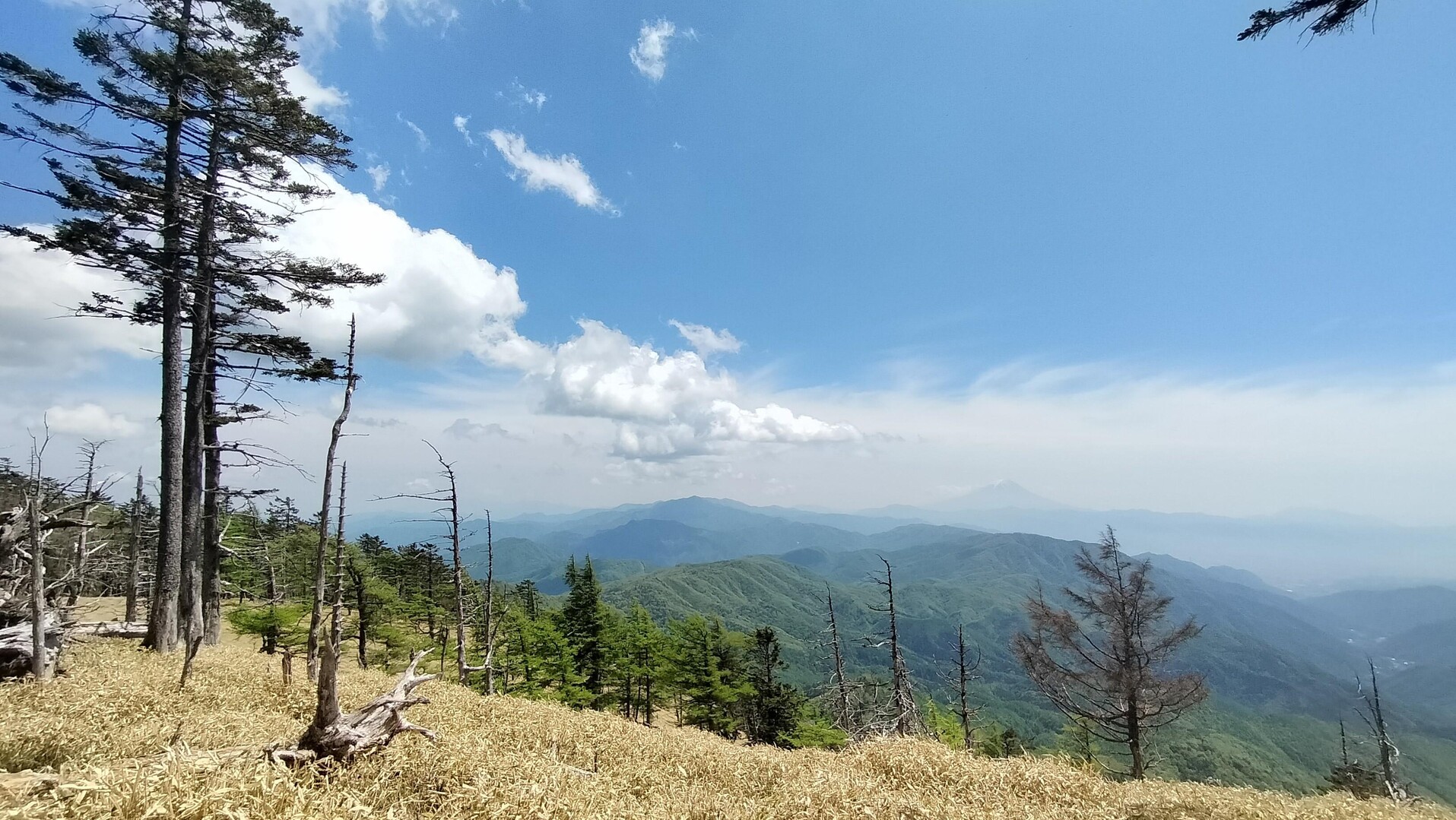古令山山頂でダラダラ中。風なし暑くてたま... / km117さんのモーメント | YAMAP / ヤマップ