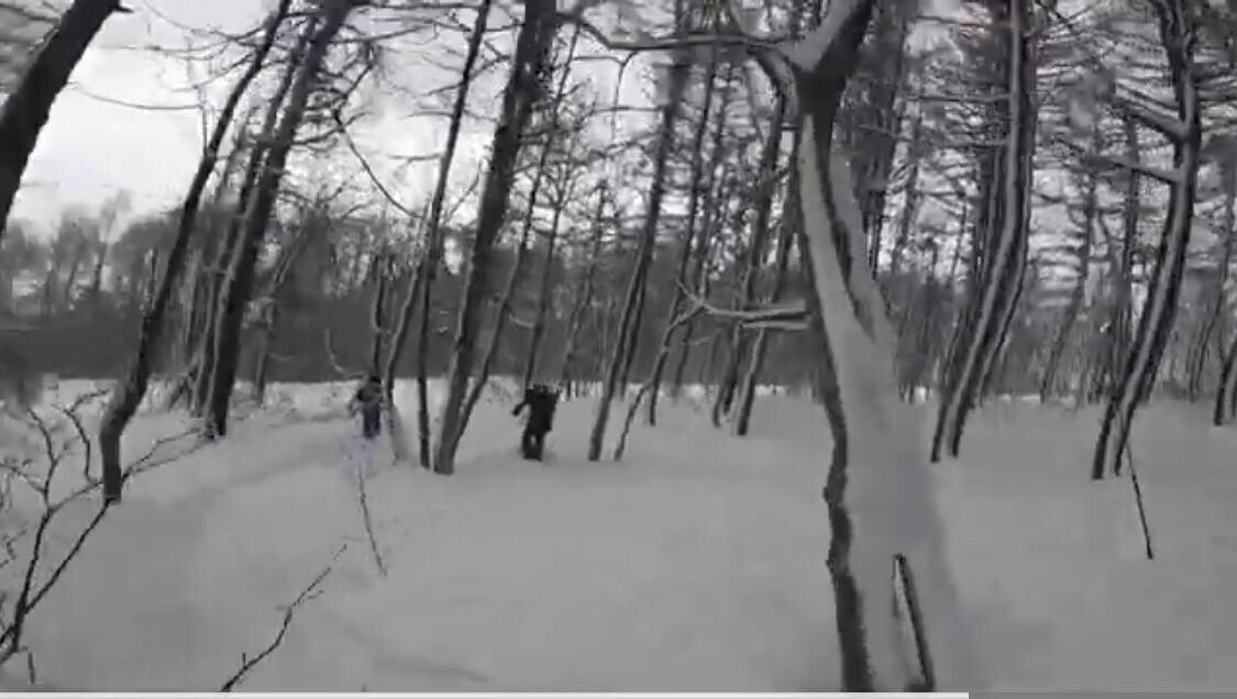 鍋森山（青森スプリングスキーリゾート）鯵ヶ沢町 ゲレンデ滑走 / snow@ystさんの岩木山（岩鬼山）・鳥海山・鍋森山の活動データ | YAMAP / ヤマップ