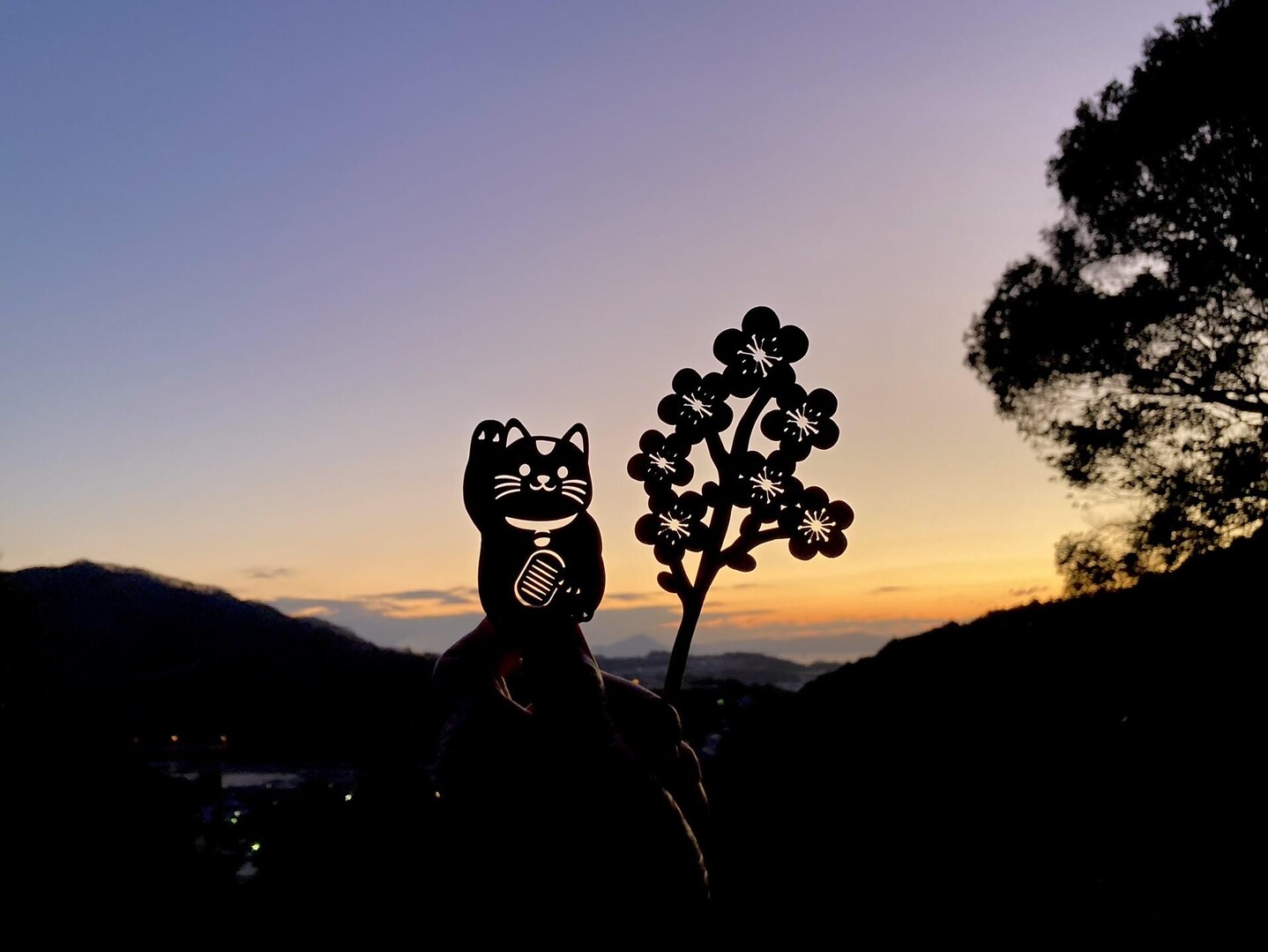 城山と錦帯橋とんど祭り / rokuさんの岩国市 岩国エリアの活動データ | YAMAP / ヤマップ