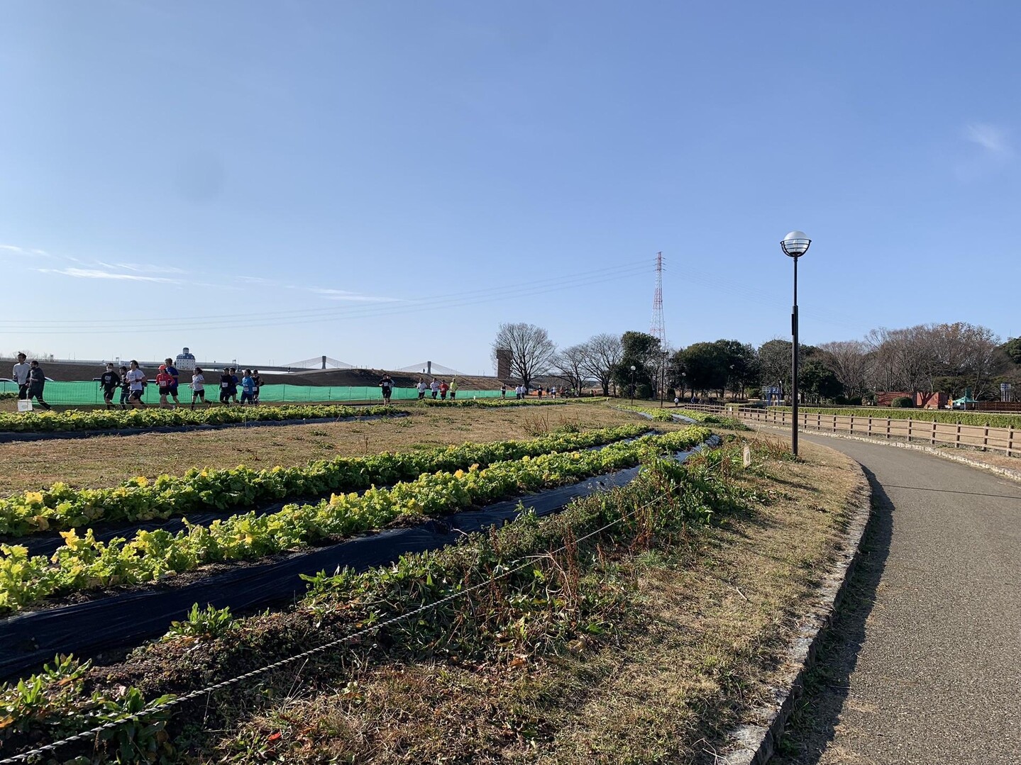 今日庄内緑地公園で、マラソン大会やってい... / tsさんのモーメント | YAMAP / ヤマップ
