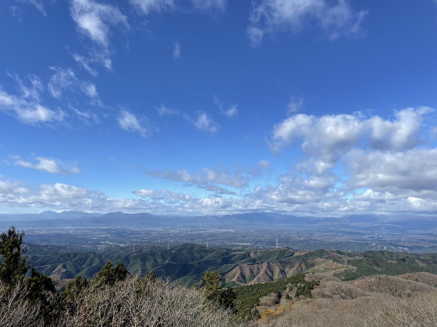八溝山 バッジ149 / スケさんの八溝山・池ノ平の活動データ | YAMAP / ヤマップ