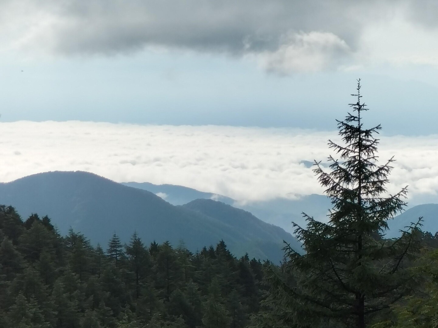 ☁ ena-san 2191m / watoさんの恵那山・大判山・神坂山の活動データ | YAMAP / ヤマップ