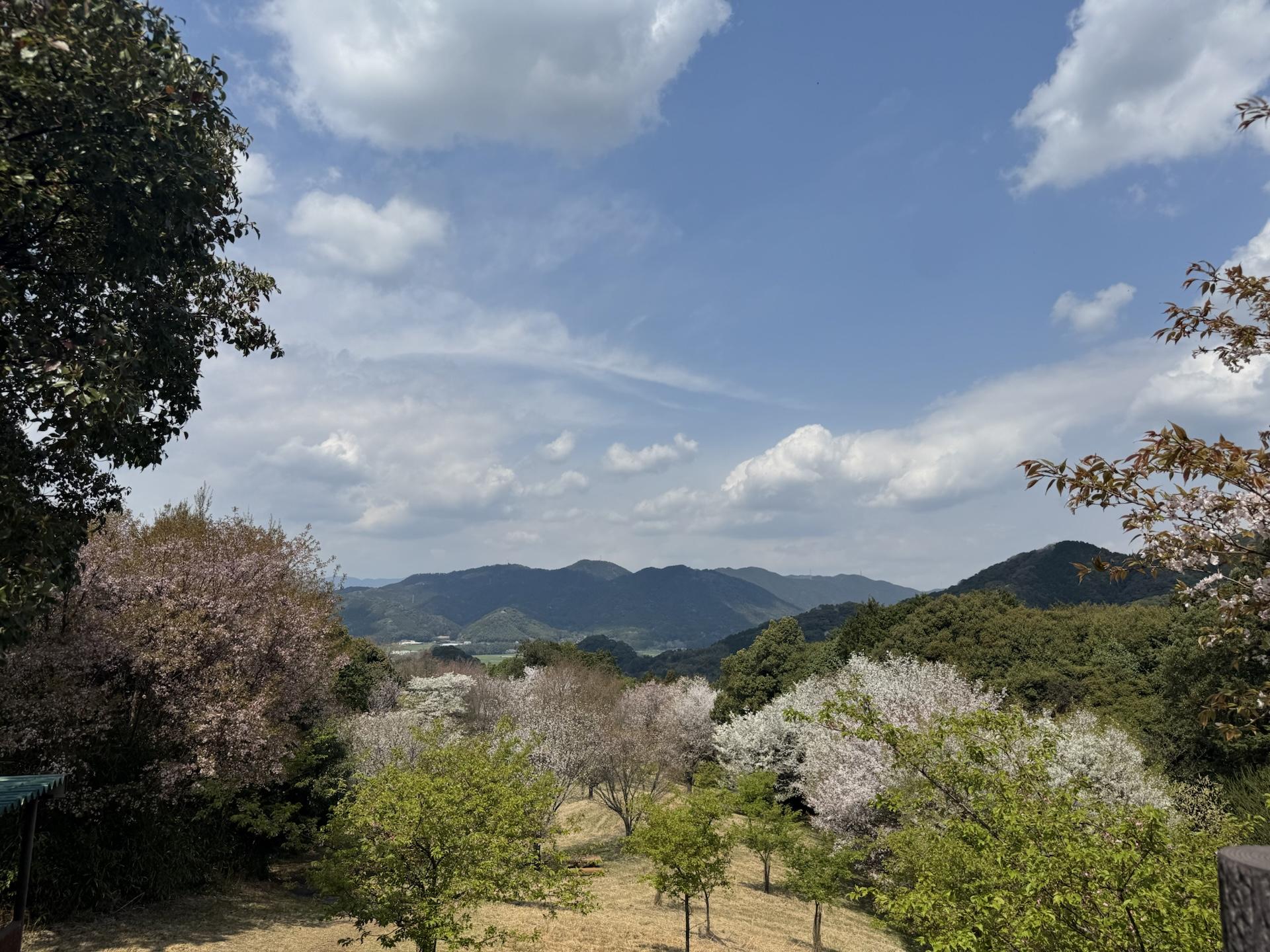 大平山 / cocoさんの大平山・安見ヶ城山の活動データ | YAMAP / ヤマップ