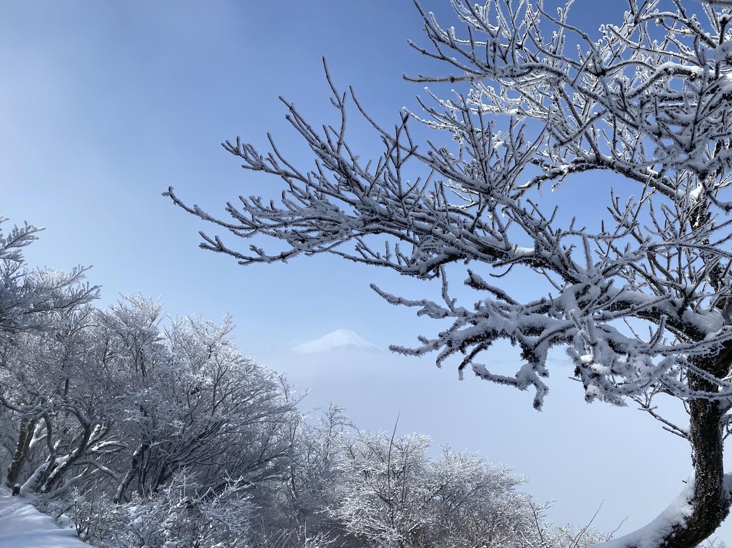 大山 ️ / Genさんの大山の活動データ | YAMAP / ヤマップ