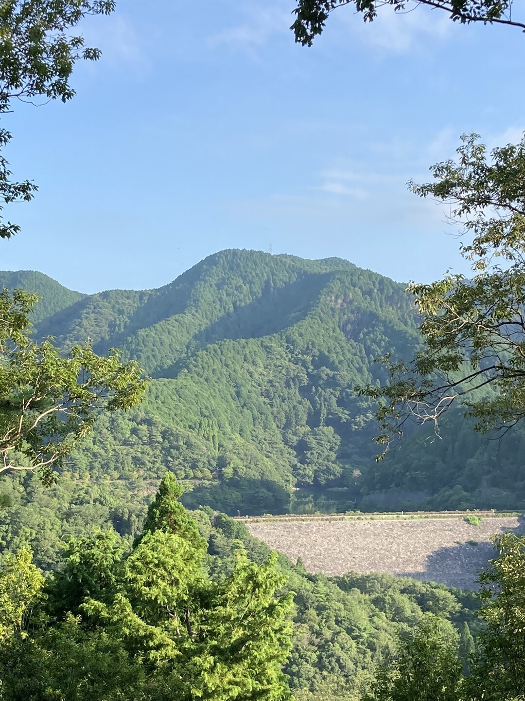 箕面 こもれびの森 展望台巡り / maecciさんの六個山・鉢伏山・明ヶ田尾山・五月山の活動データ | YAMAP / ヤマップ