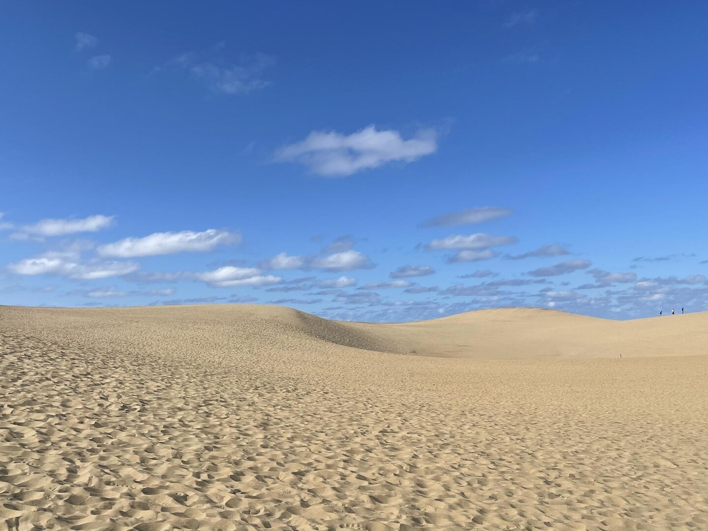 〜鳥取🩷8月7日〜 夏休み🌻いただ... / おちかさんのモーメント | YAMAP / ヤマップ