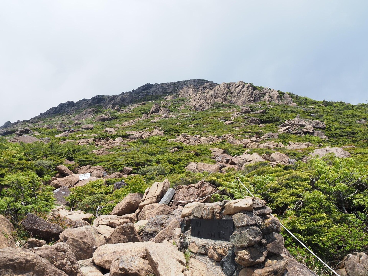 日本のエーデルワイス早池峰山に登ってきた / S.Kitaさんの早池峰山・薬師岳・鶏頭山の活動日記 | YAMAP / ヤマップ