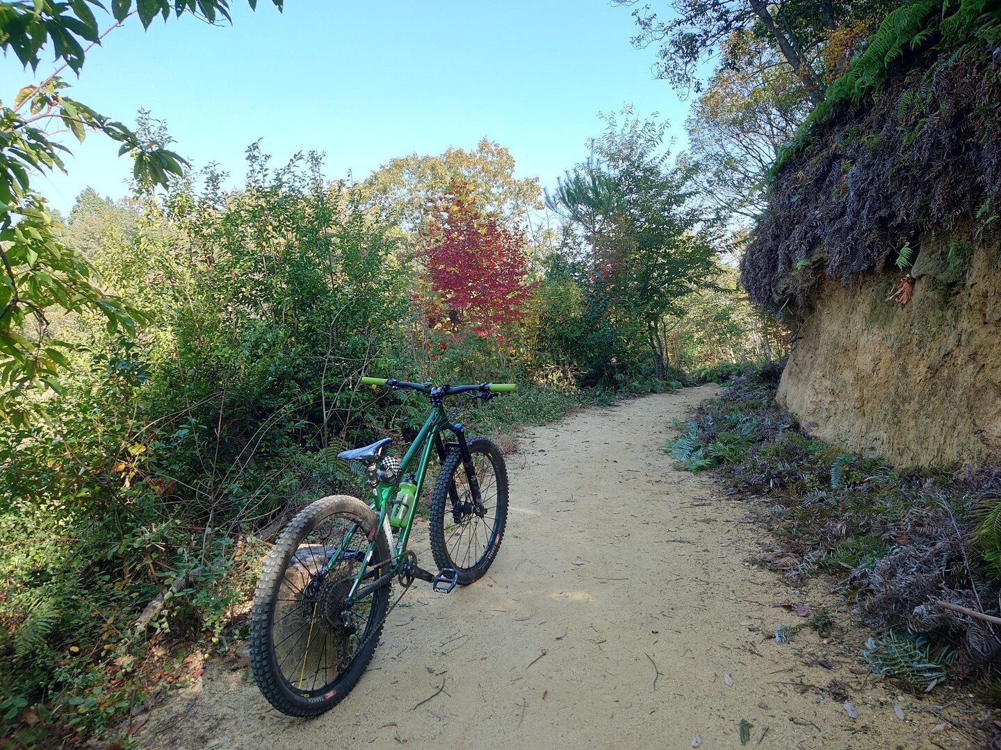 MTB Riding@裏山 / ひでたかさんのサイクリングの活動データ | YAMAP / ヤマップ