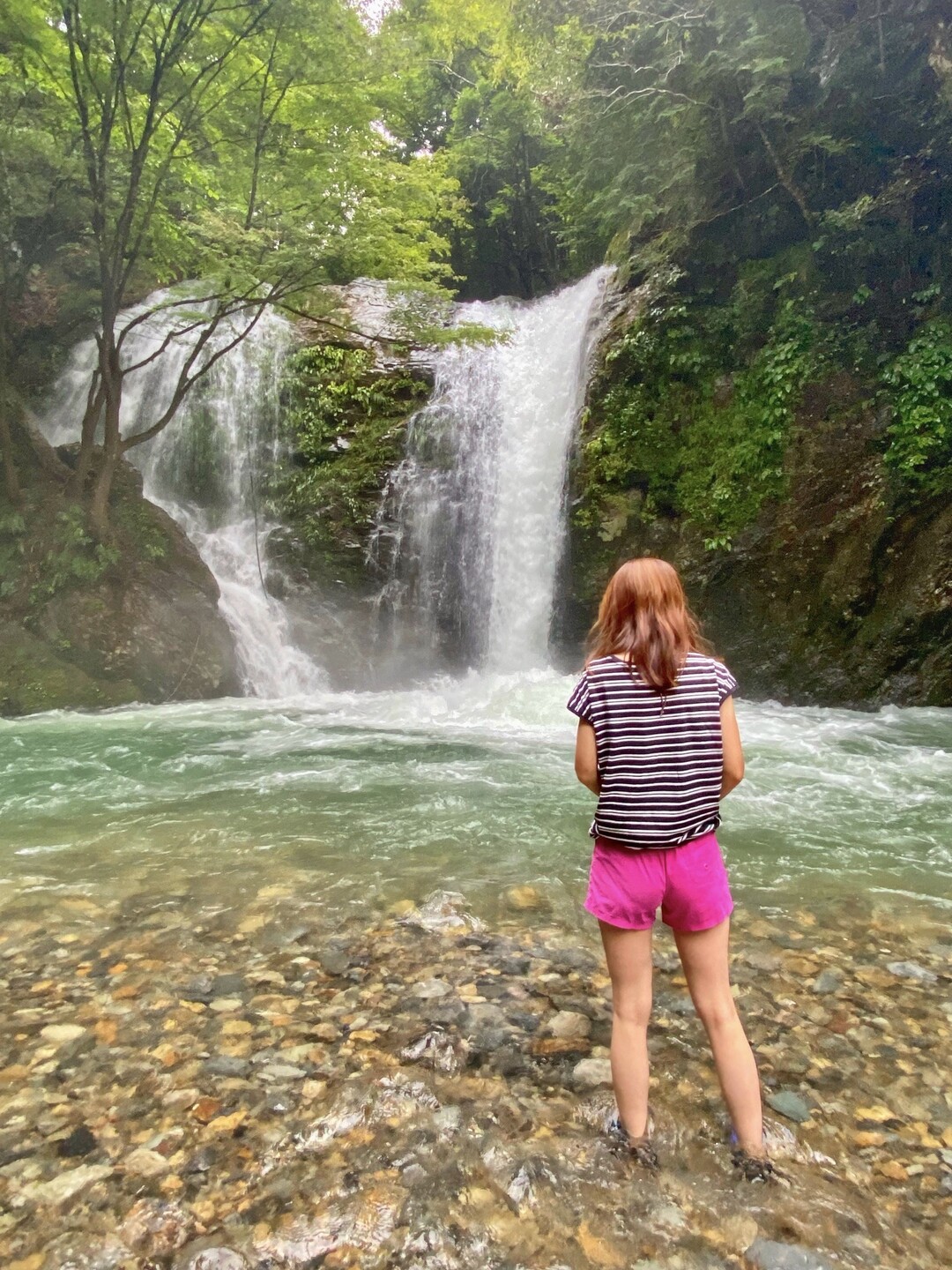 今日は下呂にある横谷峡の滝と、郡上にある... / kiyo☆さんのモーメント | YAMAP / ヤマップ