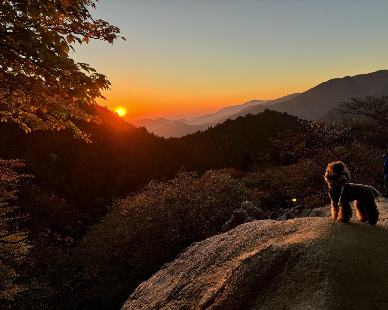 鎌ヶ岳 sunset / Bobさんの御在所岳（御在所山）・雨乞岳の活動データ | YAMAP / ヤマップ