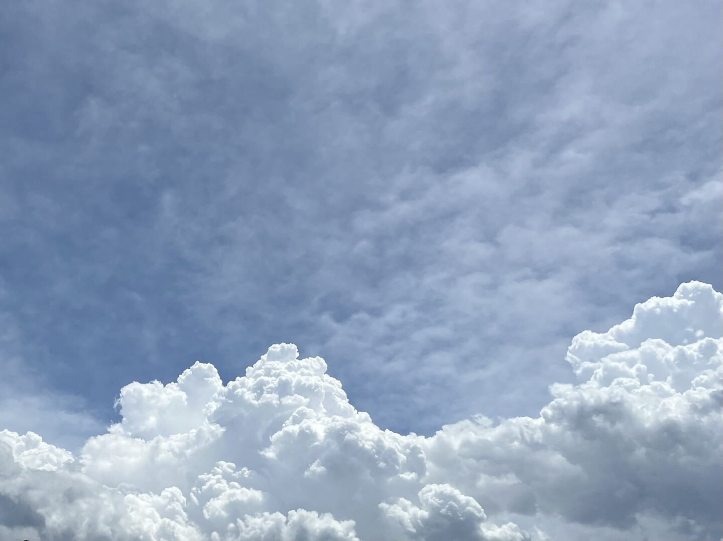 本日の入道雲（午前） すごい短時間で成長... / hide さんのモーメント | YAMAP / ヤマップ