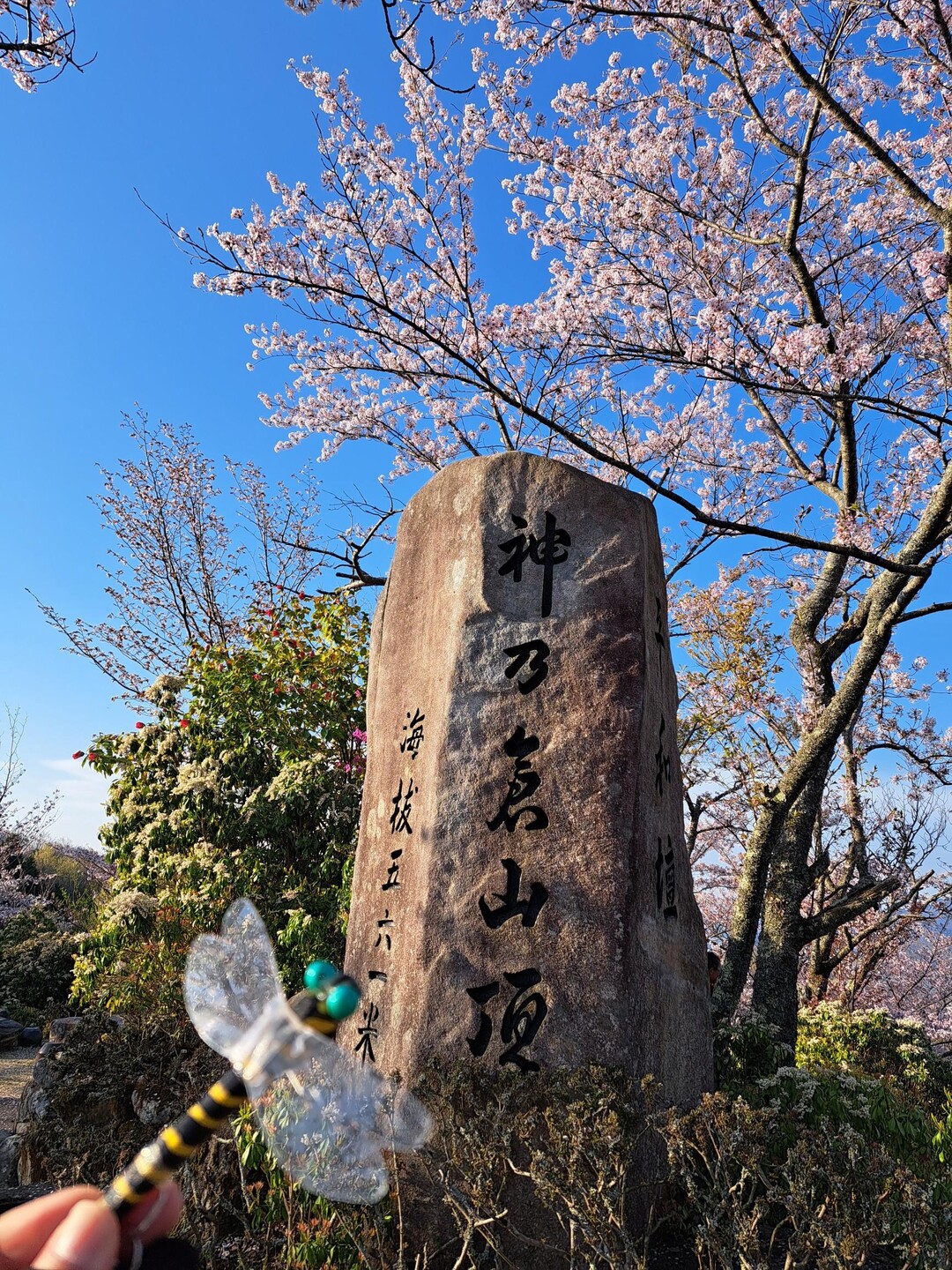 神ノ倉山はナイスコース ️ / DSHさんの鷹ノ巣山・カンノ木山・硫黄山の活動データ | YAMAP / ヤマップ