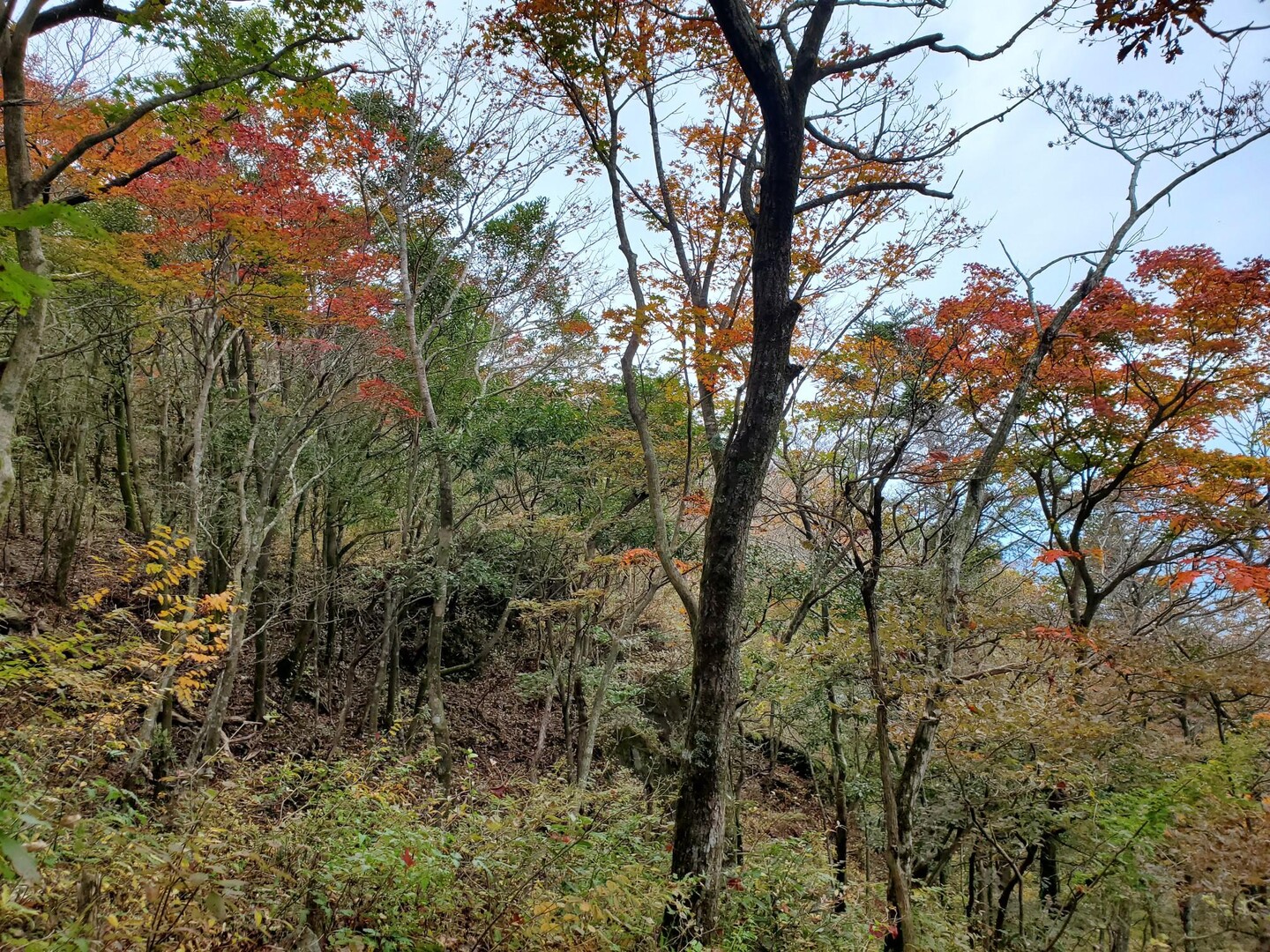 高千穂峰（東神社） / gg505さんの霧島山・韓国岳・高千穂峰・夷守岳・烏帽子岳の活動データ | YAMAP / ヤマップ