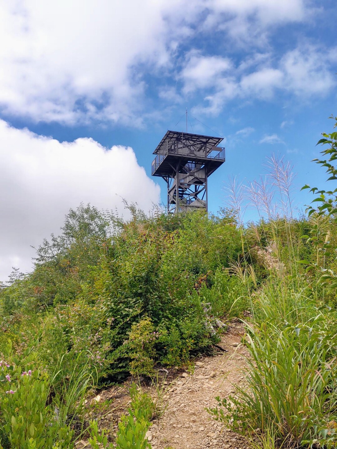 白州中山って知ってる？ の巻 / Yuuki.Yさんの中山・中山砦の活動データ | YAMAP / ヤマップ