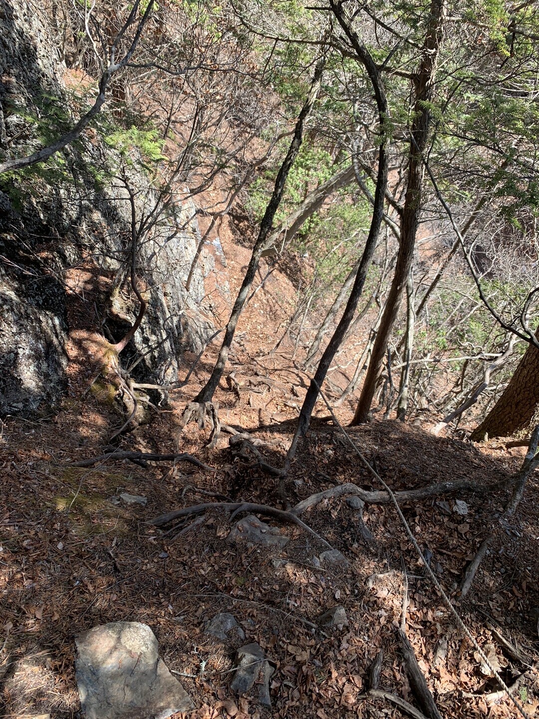 nkakさんの投稿したフィールドメモ | YAMAP / ヤマップ