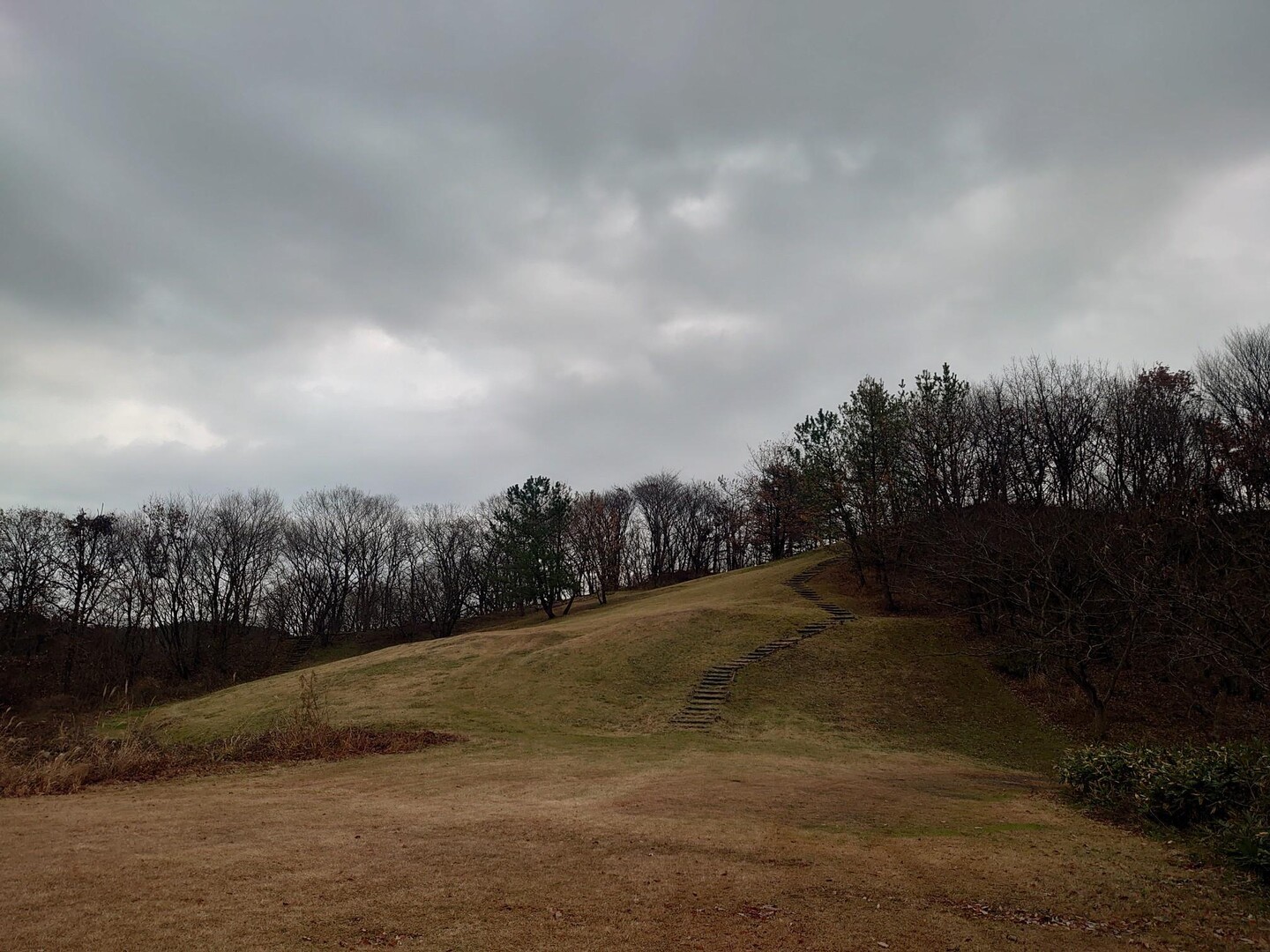 飯岡山⑥〜郷力山② / aer0ckさんの秋田市の活動データ | YAMAP / ヤマップ