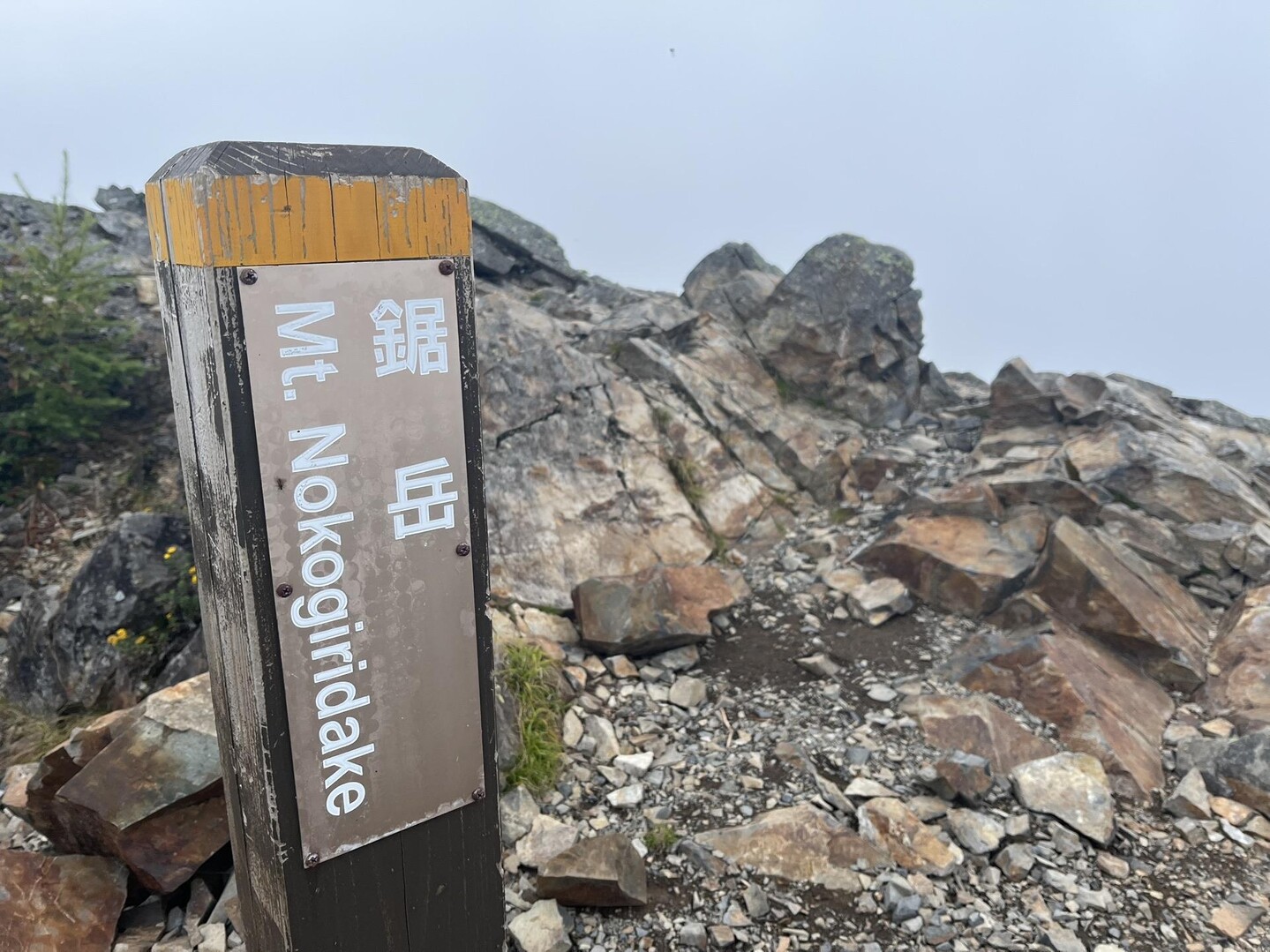 鋸岳 / foliageさんの甲斐駒ヶ岳・日向山の活動データ | YAMAP / ヤマップ