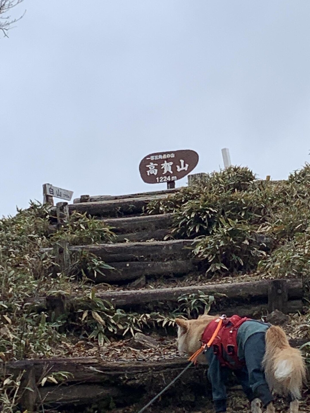 高賀山 / きなこさんの高賀山・瓢ヶ岳・片知山の活動データ | YAMAP / ヤマップ