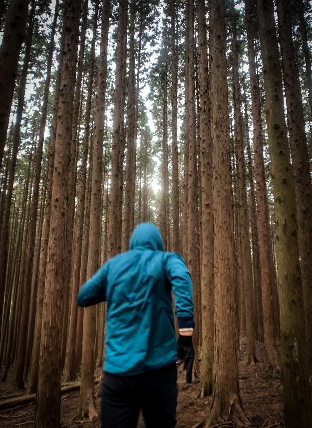 作礼山 / masaroyさんの作礼山の活動データ | YAMAP / ヤマップ