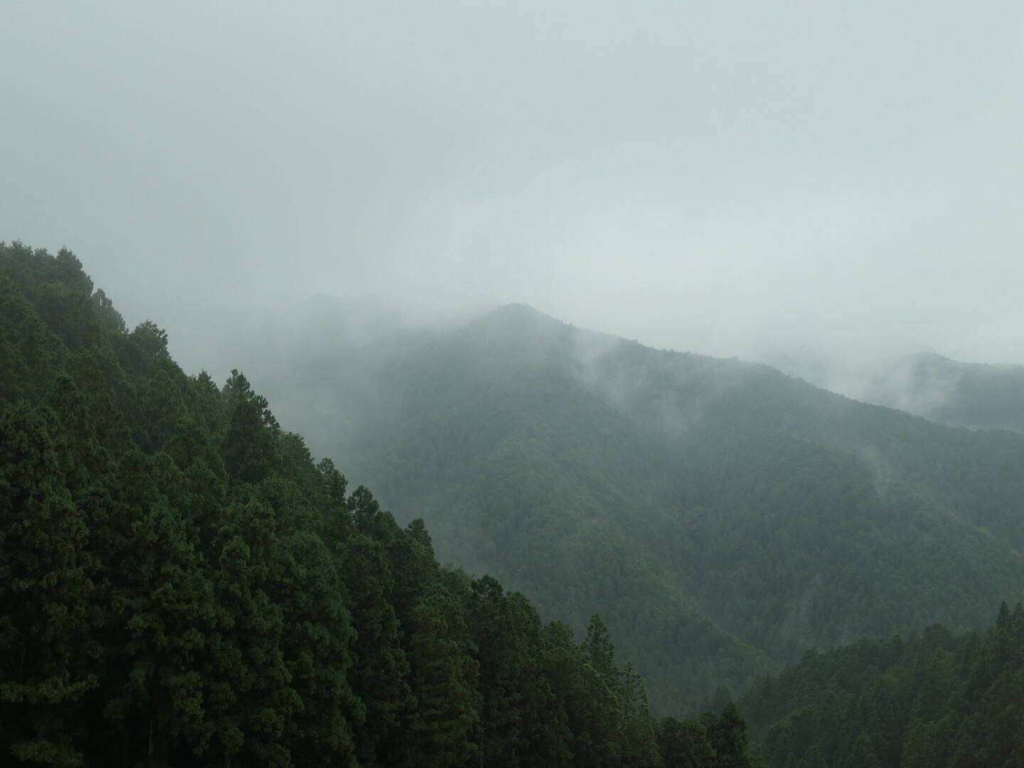 高野山〜京都 バス🚌移動中にYAMAP... / hacoさんのモーメント | YAMAP / ヤマップ