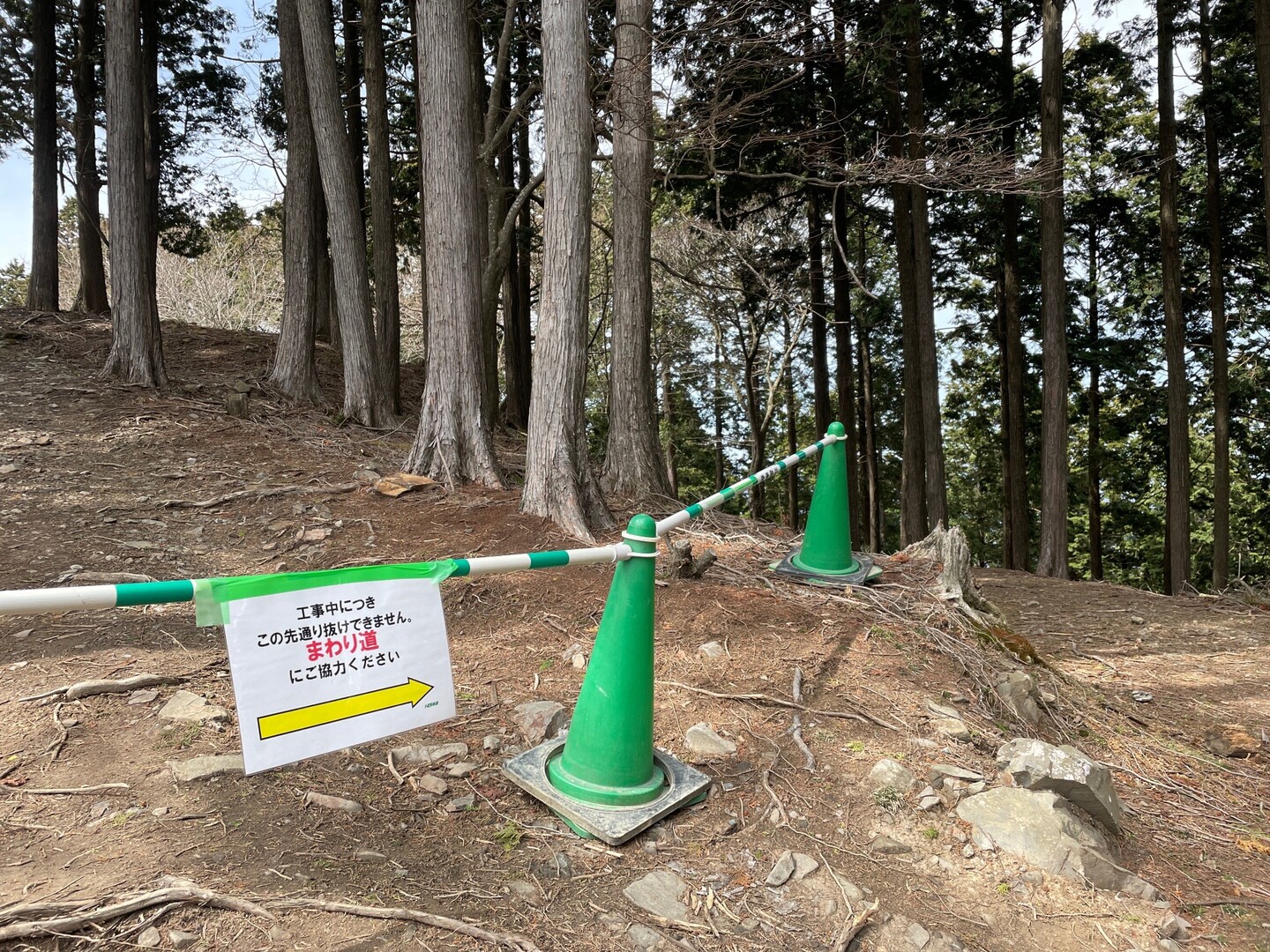 ねもさんの投稿したフィールドメモ | YAMAP / ヤマップ