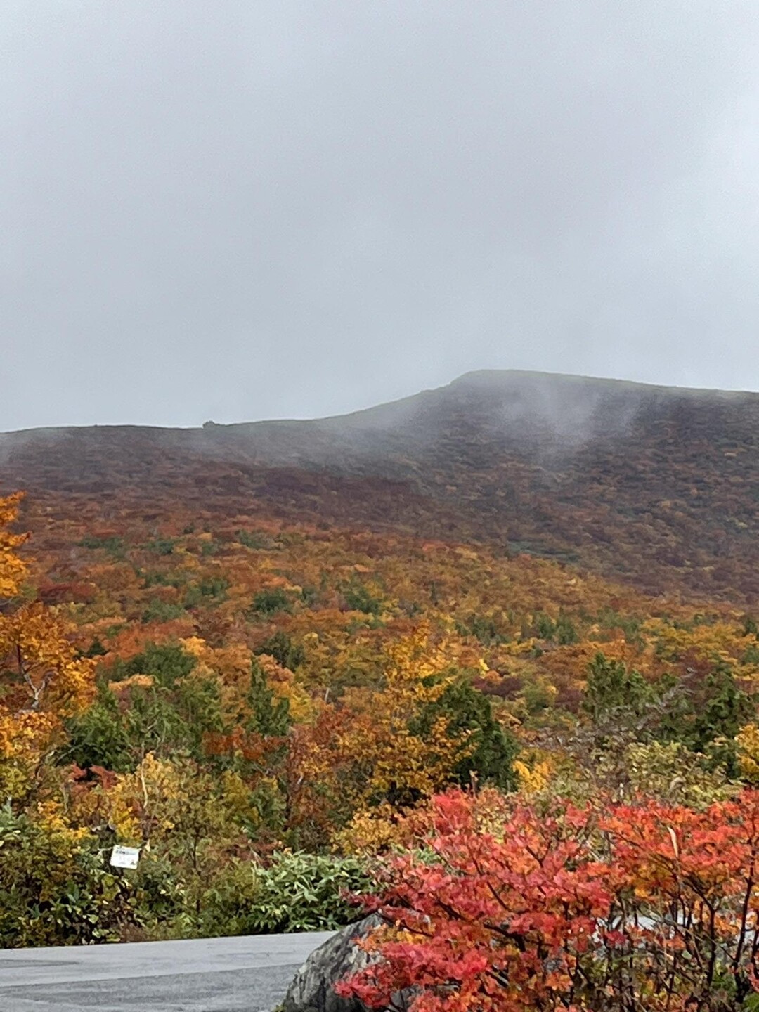 栗駒山(須川岳) / Nic_kgさんの栗駒山（須川岳）・秣岳・虚空蔵山の活動データ | YAMAP / ヤマップ