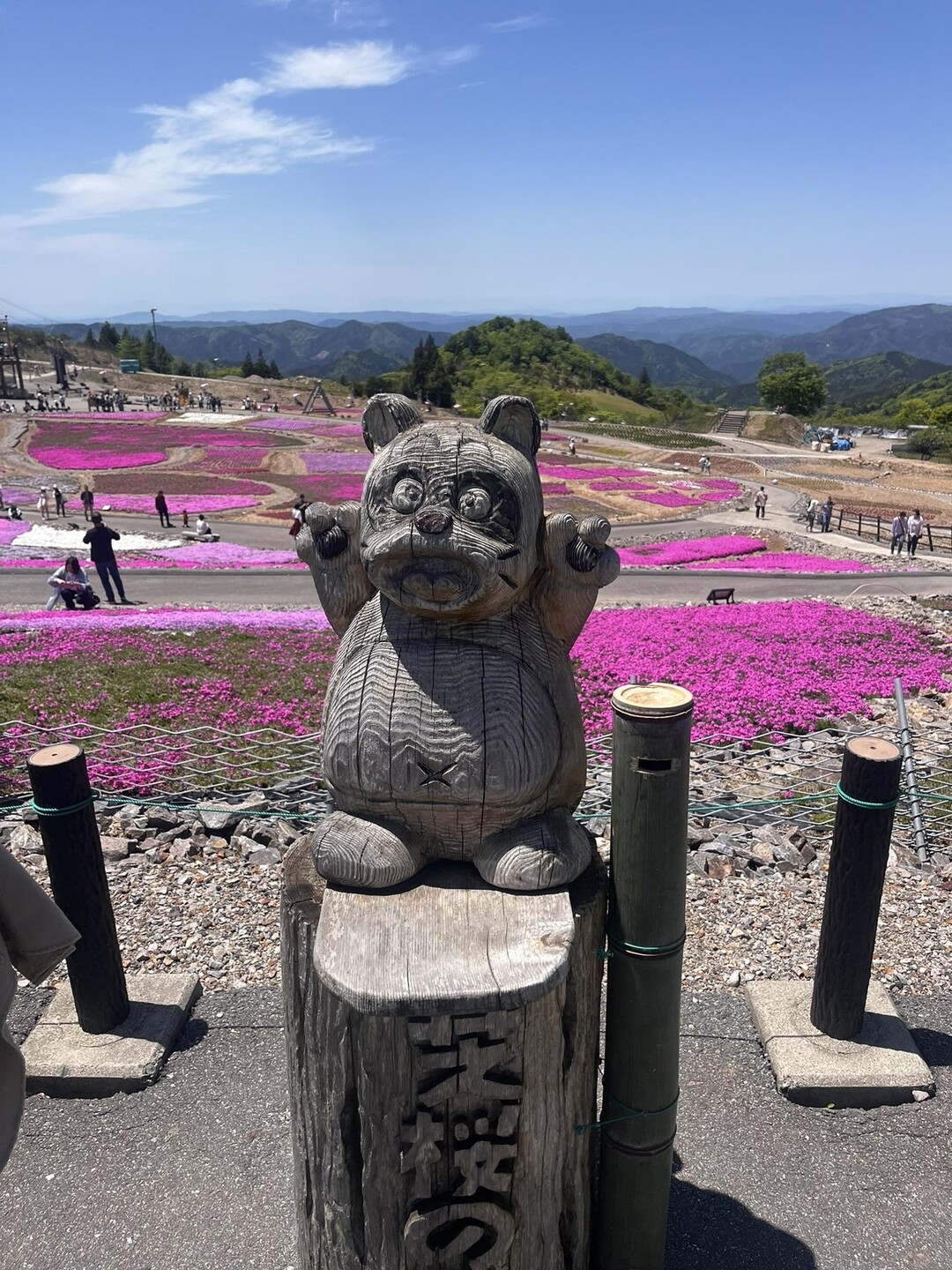 茶臼山と萩太郎山と芝桜 / ku⭐︎maさんの茶臼山・萩太郎山の活動データ | YAMAP / ヤマップ
