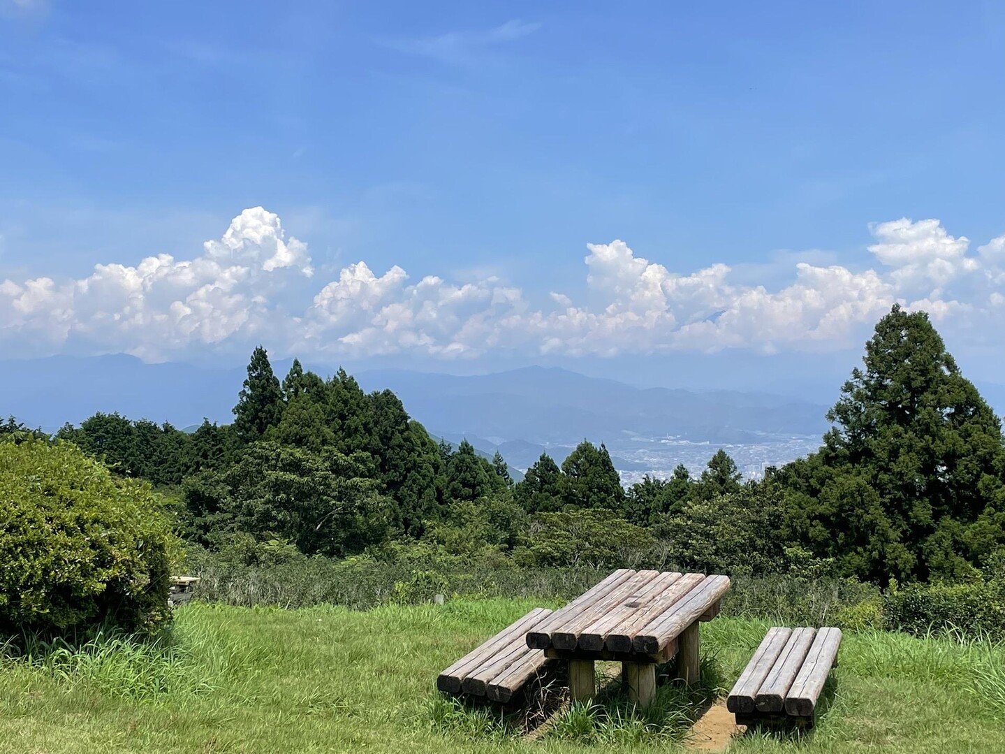 満観峰・大ベラ山 / shunさんの焼津アルプス（高草山・満観峰・花沢山）・徳願寺山の活動データ | YAMAP / ヤマップ