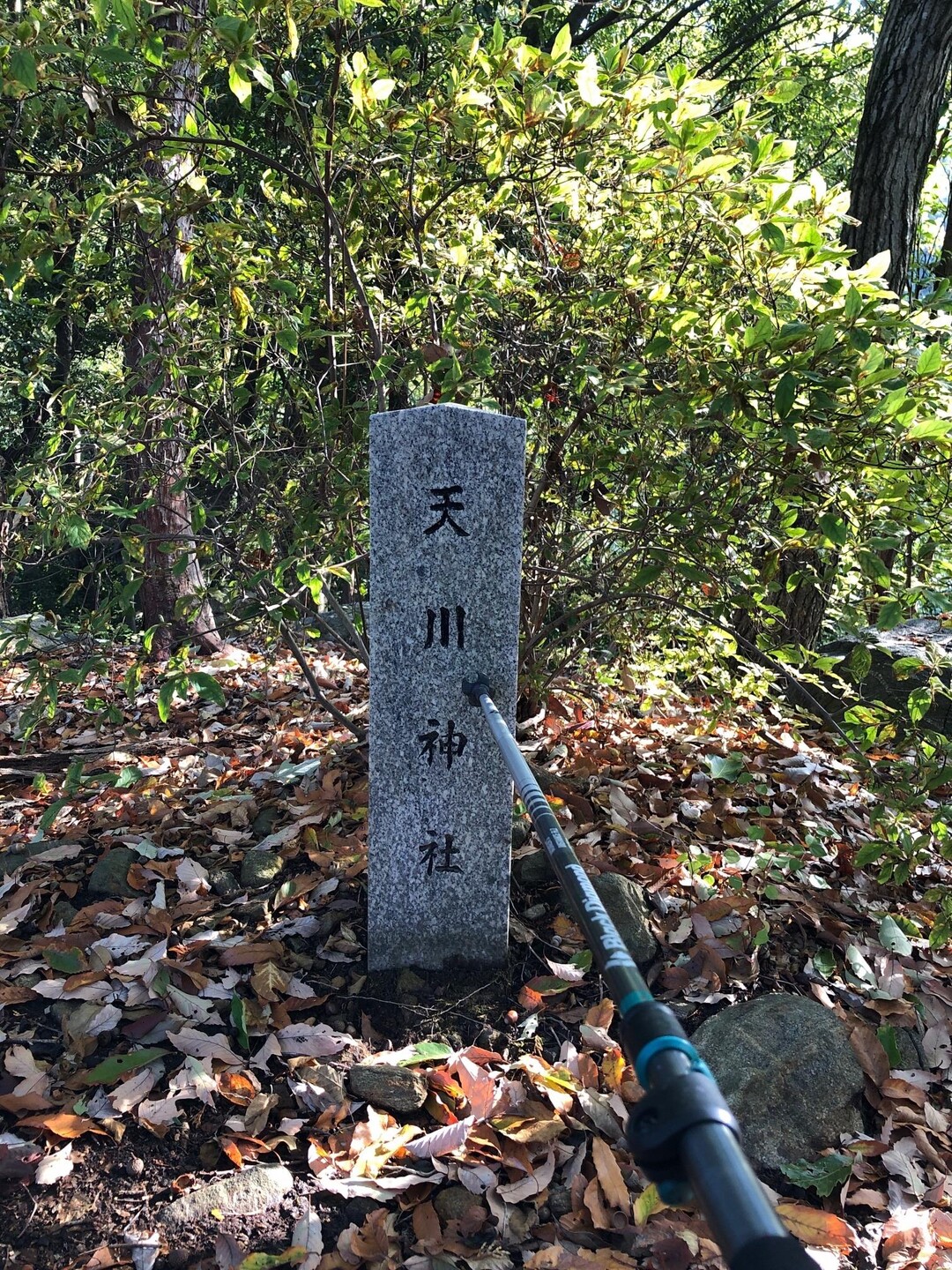 天川山 / Zak-Sanさんの明神山・玉手山の活動データ | YAMAP / ヤマップ