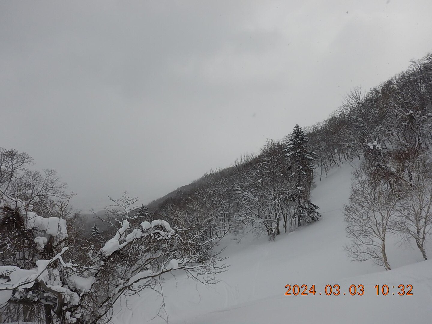 手稲ネオパラ-2024-03-03 / came-ponさんの手稲山・奥手稲山の活動データ | YAMAP / ヤマップ