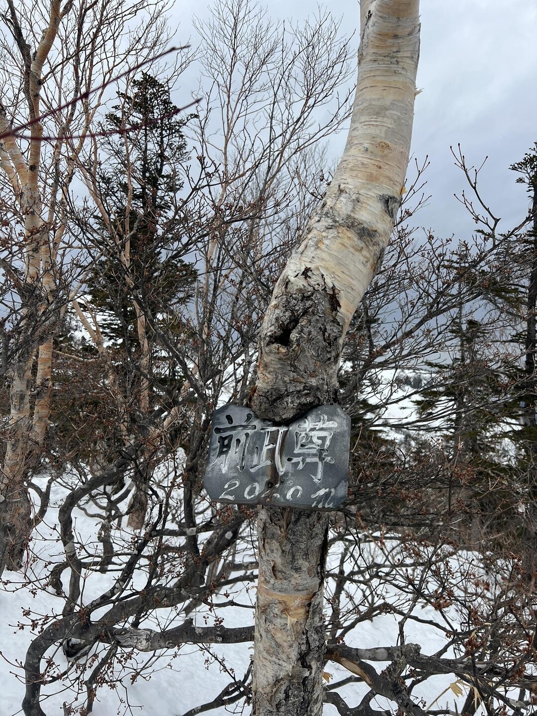 前武尊BC / MAYUPさんの武尊山・鹿俣山・尼ヶ禿山の活動データ | YAMAP / ヤマップ