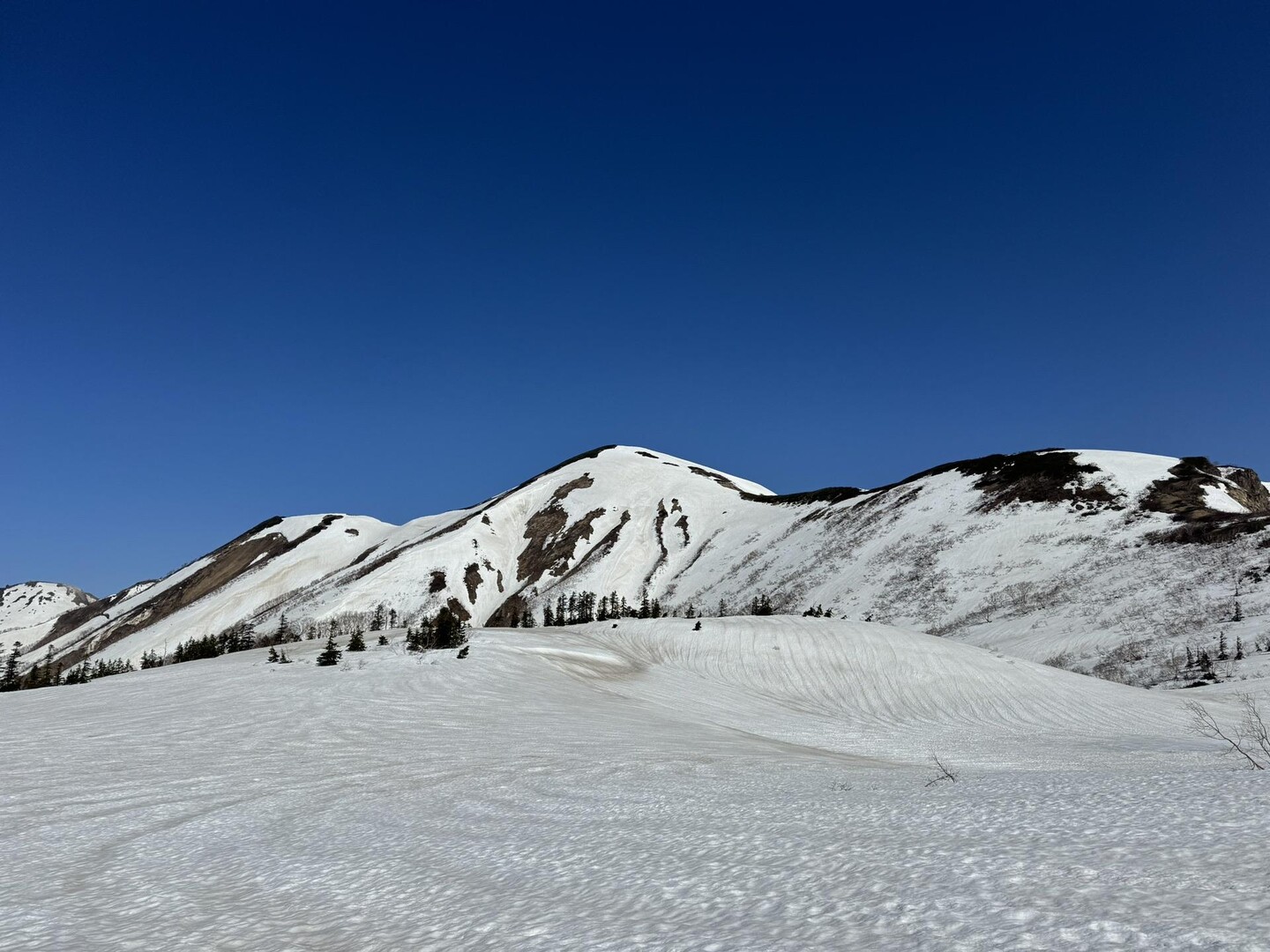 火打山、残雪期☀️ / katsさんの妙高山・火打山の活動データ | YAMAP / ヤマップ