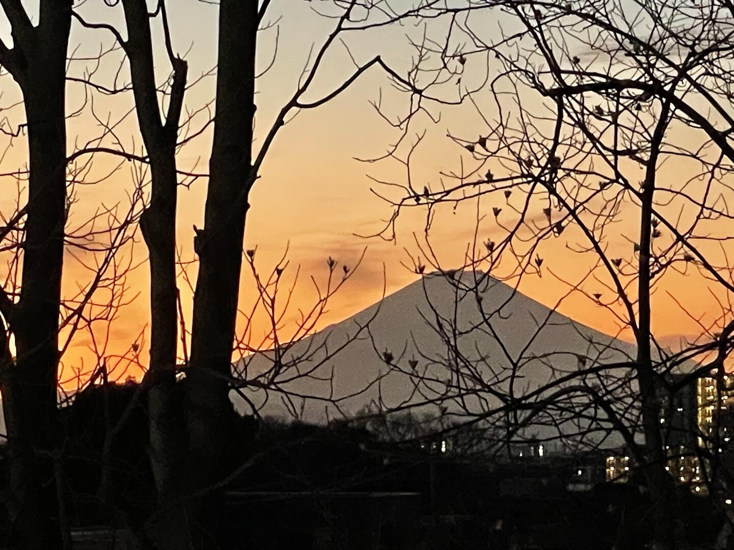 昨日の夕焼け富士山 神奈川県の実家から撮... / Mikityさんのモーメント | YAMAP / ヤマップ
