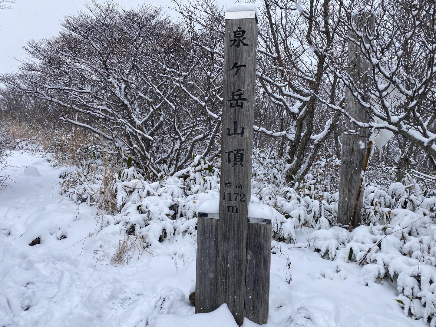 【泉ヶ岳】地図読みトレーニング2日目 / R_MAXさんの船形山（御所山）・泉ヶ岳・蛇ヶ岳の活動データ | YAMAP / ヤマップ