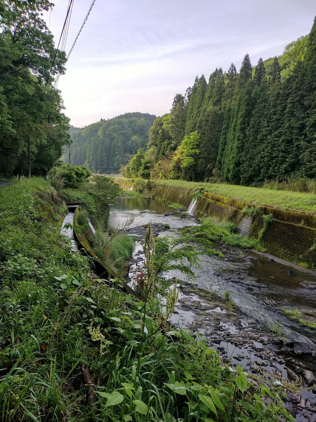 穴井迫朝running-2024-05-02 / べにさんのランニングの活動データ | YAMAP / ヤマップ