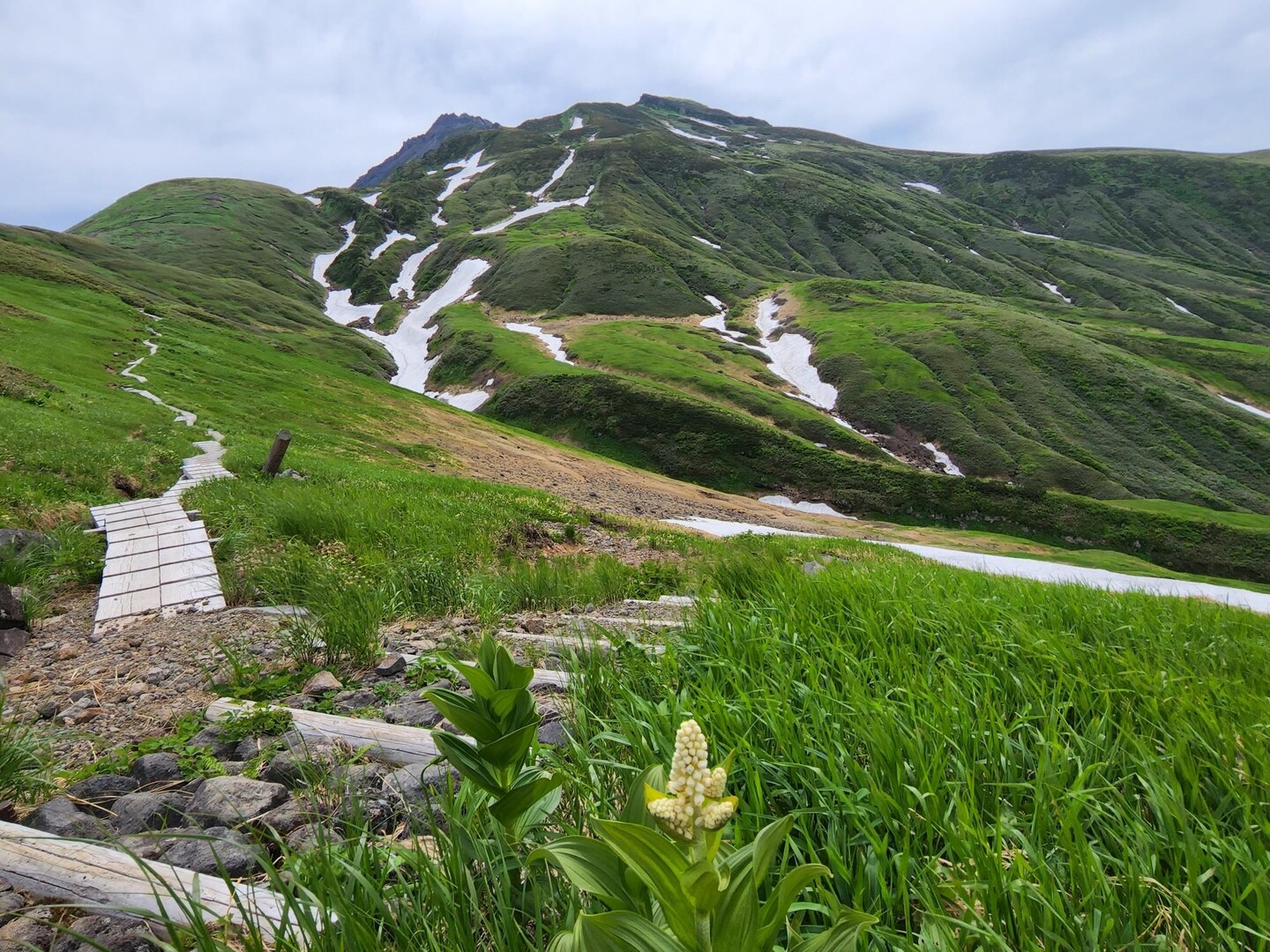 扇子森・笙ヶ岳 / jmamaさんの鳥海山・七高山・笙ヶ岳の活動データ | YAMAP / ヤマップ