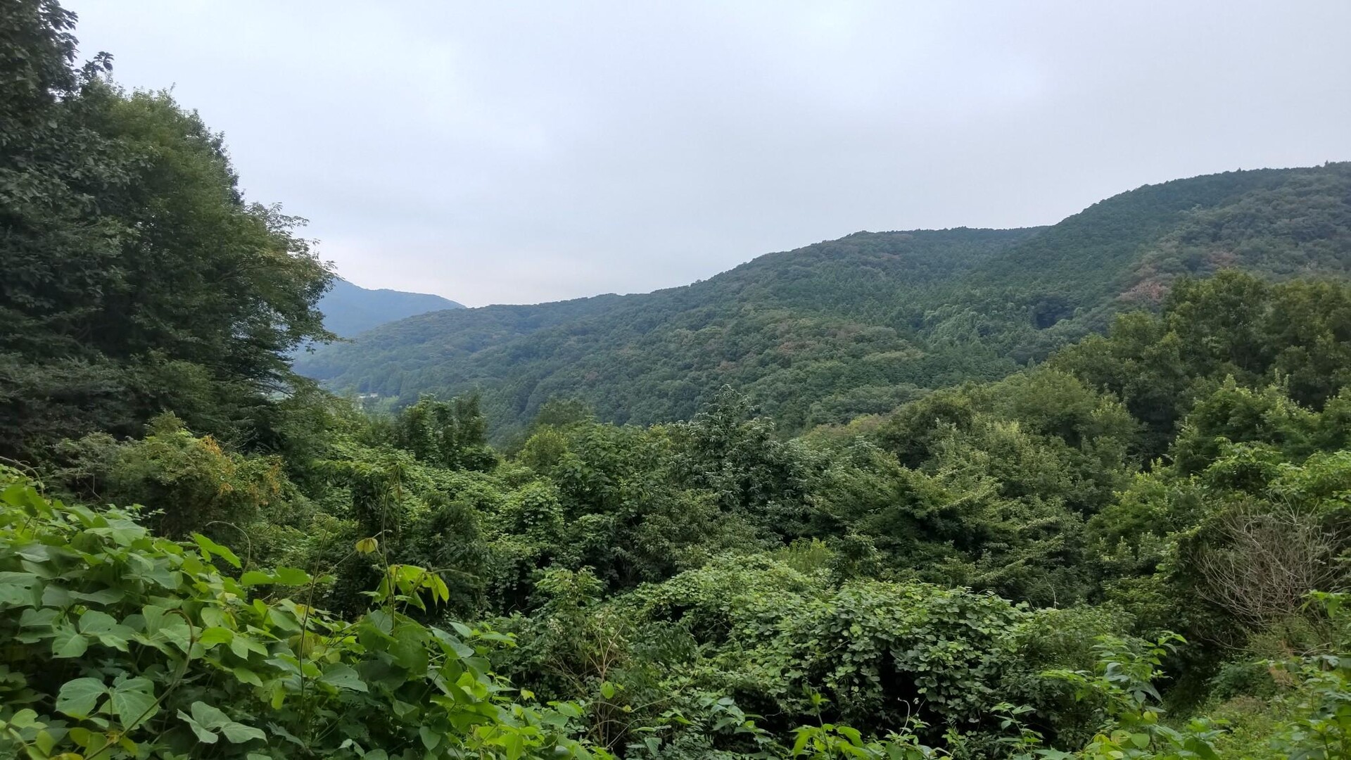 大平山 / MORI-Pさんの武蔵嵐山・大平山・仙元山の活動データ | YAMAP / ヤマップ