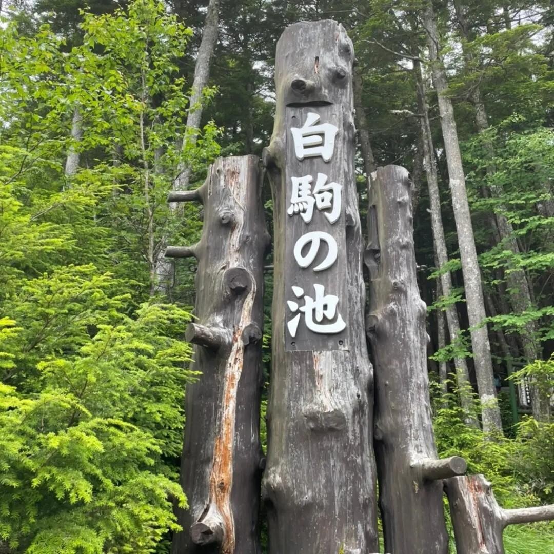 2022.7.23〜7.24記録 北八ヶ... / natsuさんのモーメント | YAMAP / ヤマップ