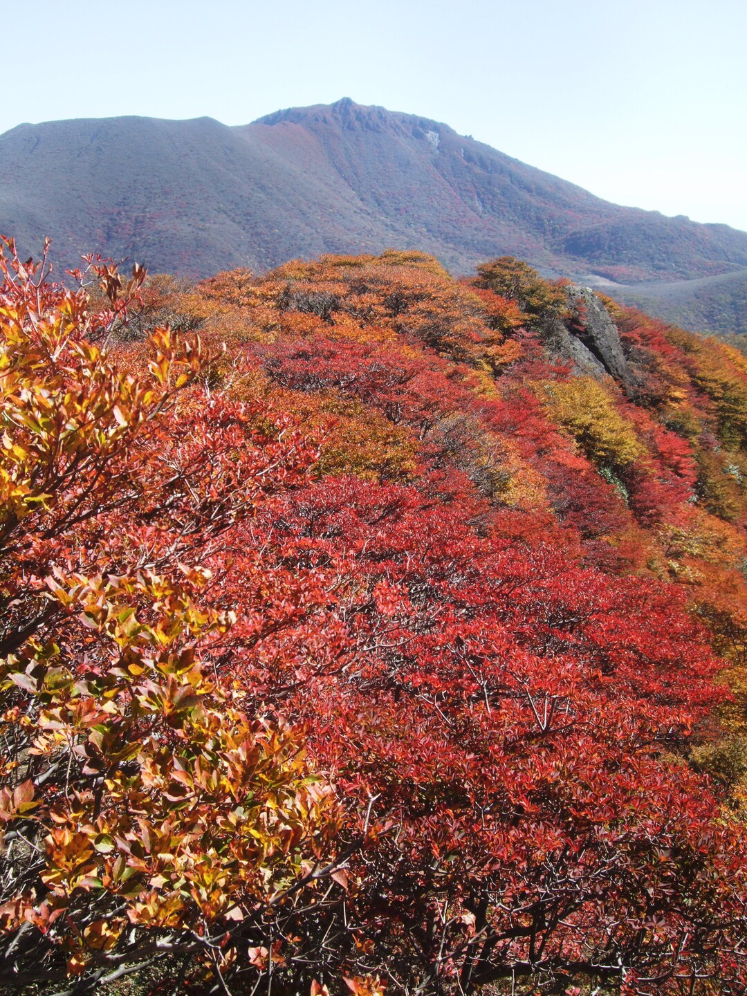 三俣山で紅葉を満喫 / al (アル)さんの九重山（久住山）・大船山・星生山の活動データ | YAMAP / ヤマップ
