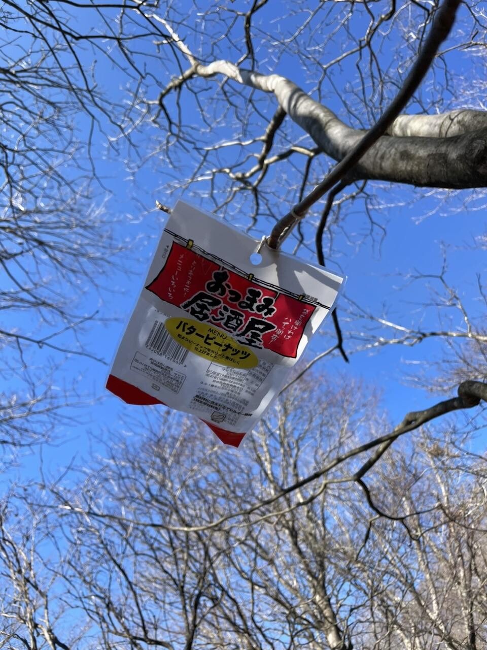 棒ノ嶺（棒ノ折山）・槇ノ尾山・長尾丸山・クロモ山・山ナシ山・日向沢ノ峰・オハヤシノ頭・仁田山・... / ULhikerさんの棒ノ折山（棒ノ嶺）の活動データ | YAMAP / ヤマップ