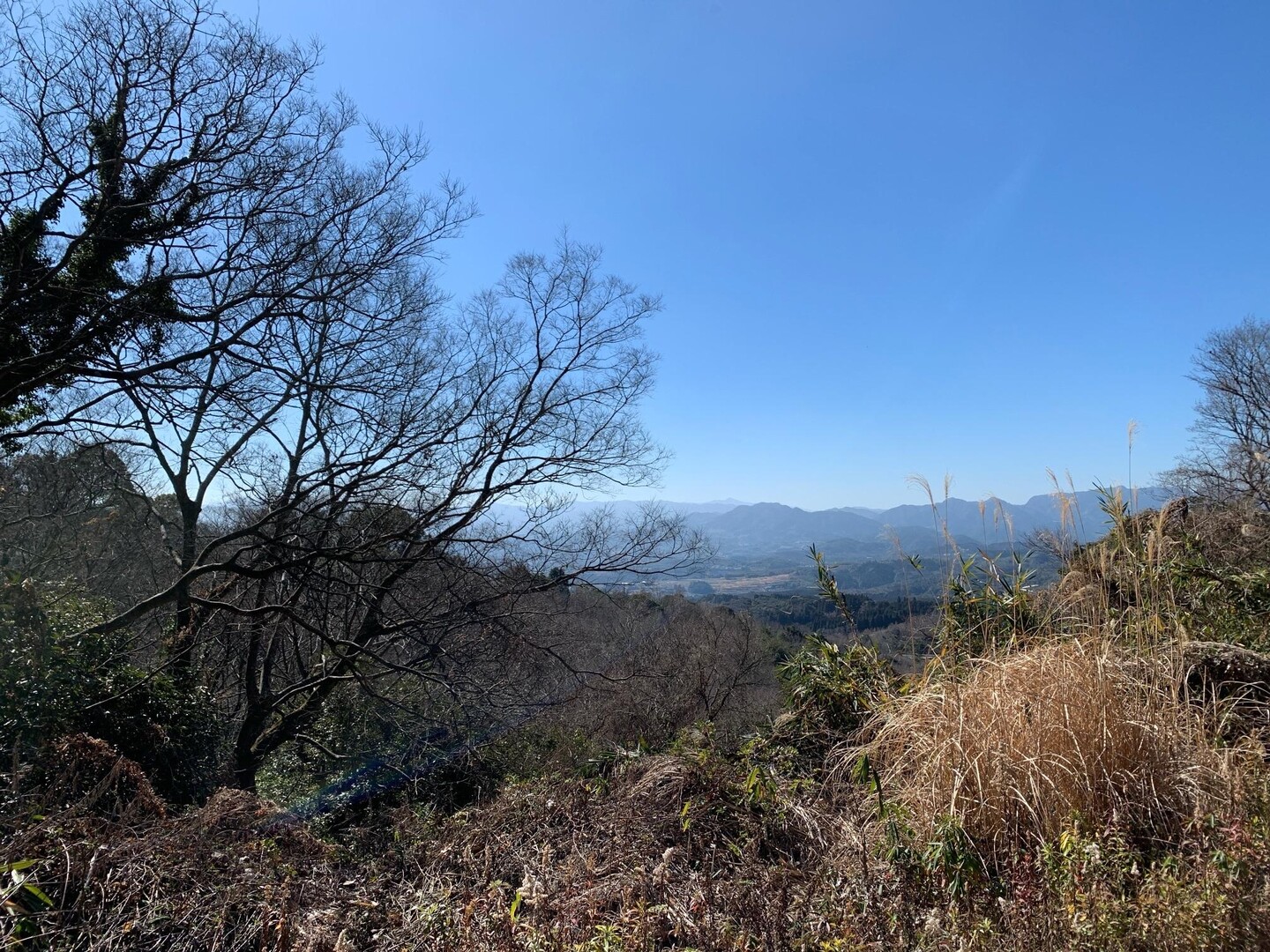 HALさんの投稿したフィールドメモ | YAMAP / ヤマップ