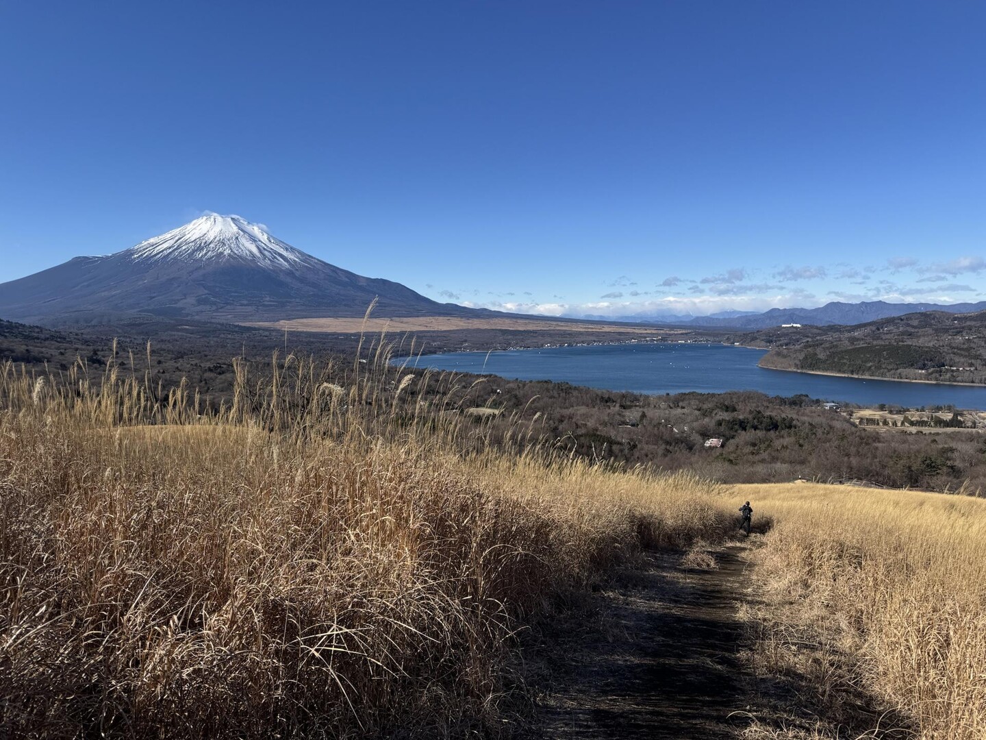 鉄砲木の頭 / Kooooooon!さんの三国山・大洞山・不老山の活動データ | YAMAP / ヤマップ