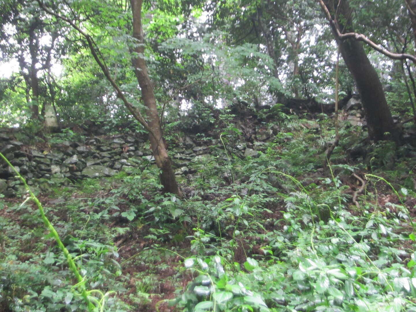 城山（八王子城山） / issa_50sさんの高尾山・陣馬山・景信山の活動データ | YAMAP / ヤマップ