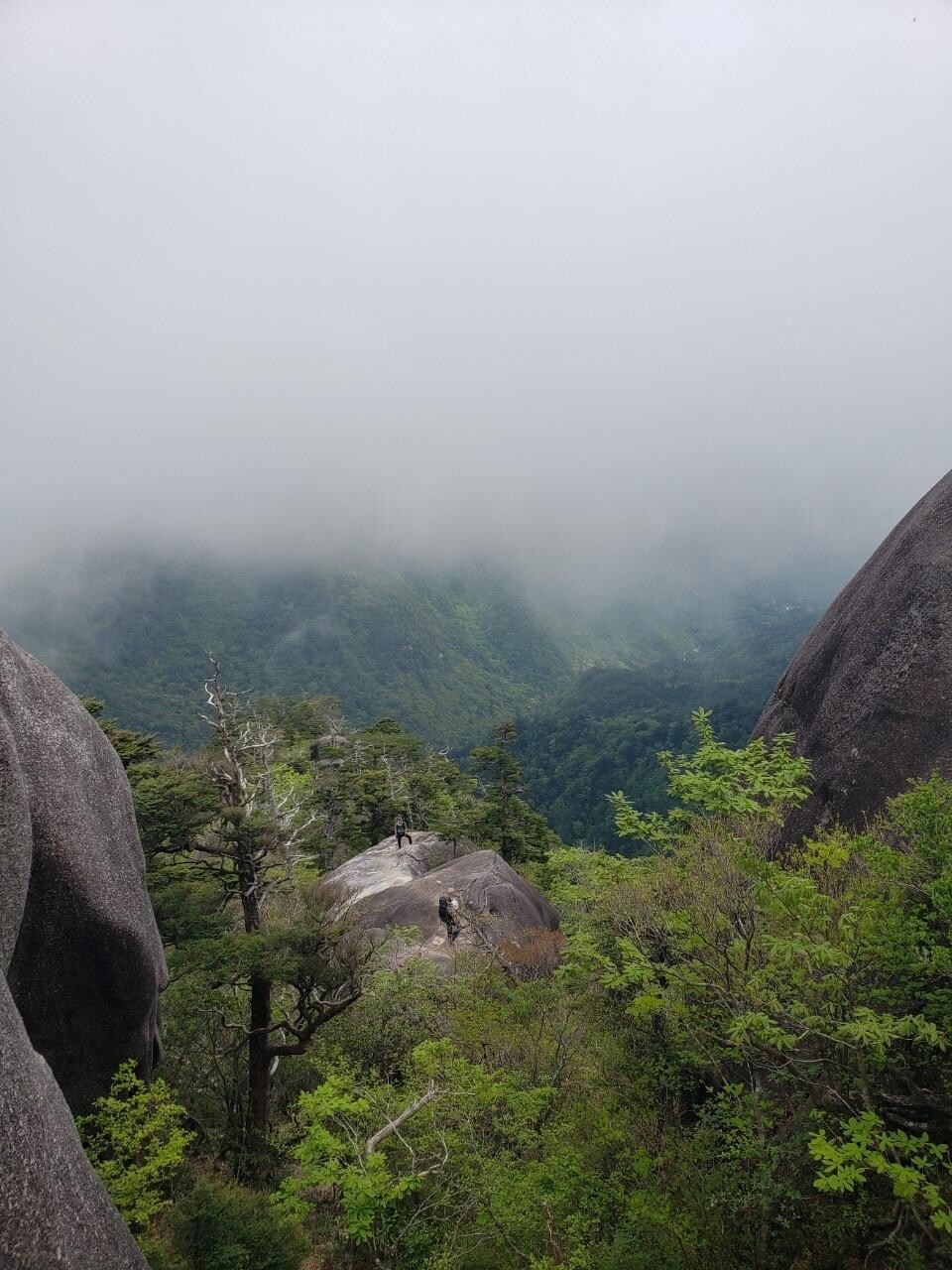 大崩山 / Nagaさんの大崩山・五葉岳・新百姓山の活動データ | YAMAP / ヤマップ